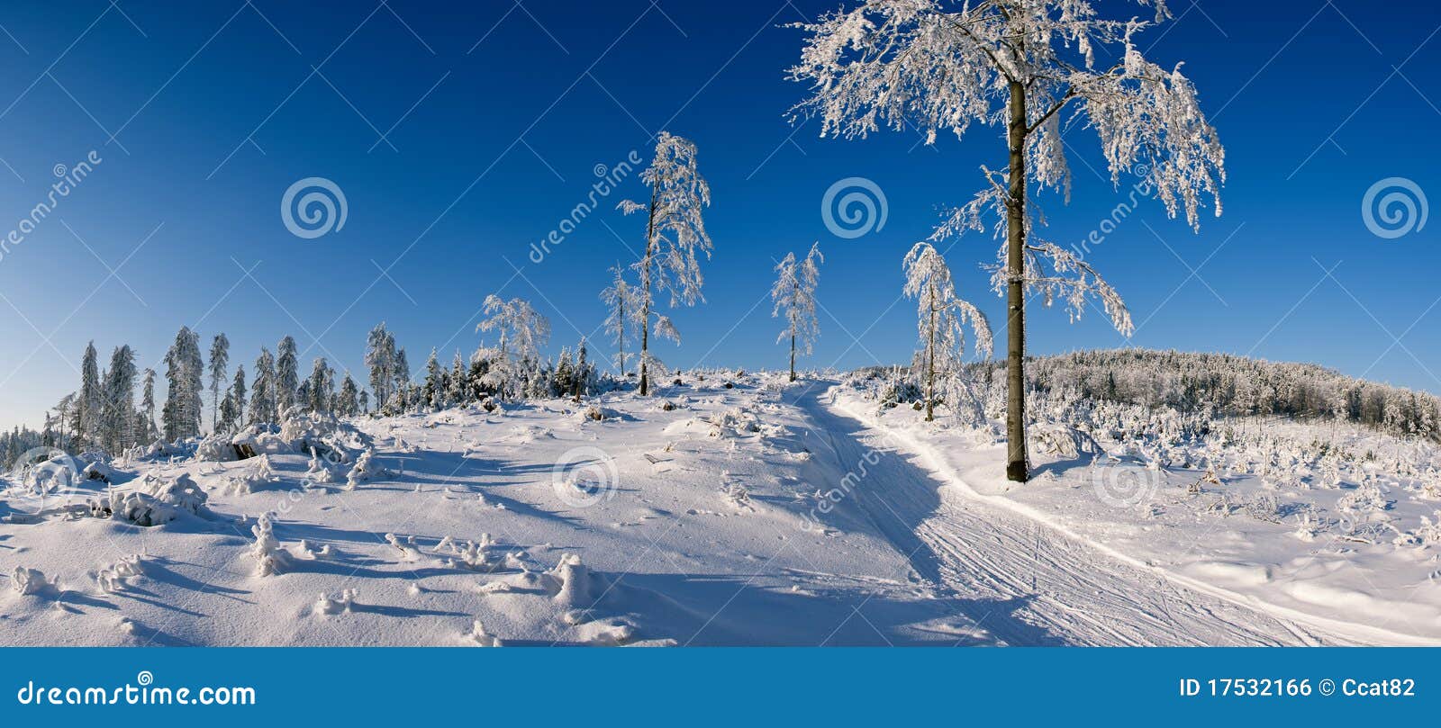 Winter panorama stock photo. Image of frost, landscape - 17532166