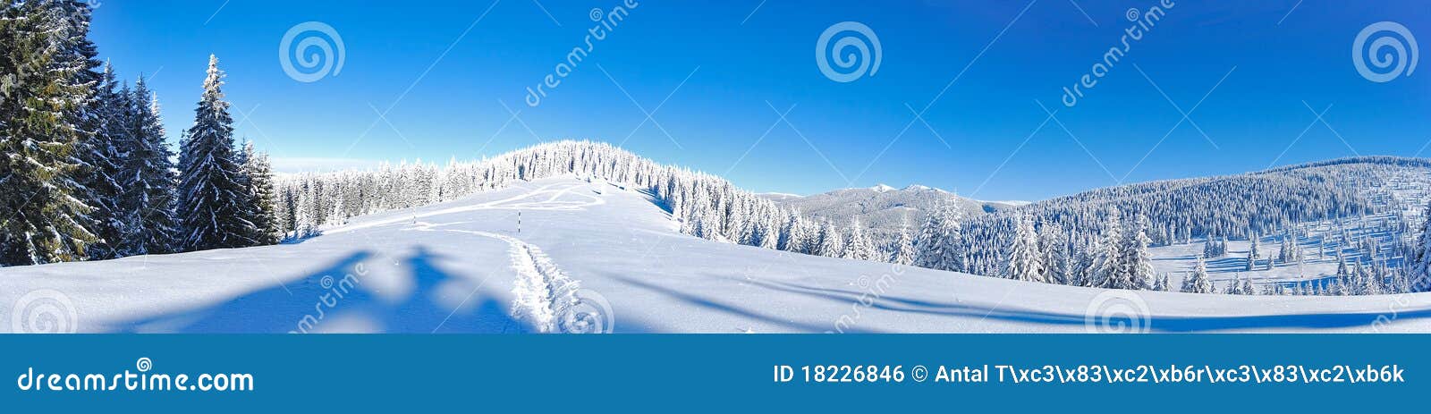 Winter panorama stock photo. Image of frozen, cold, scene - 18226846