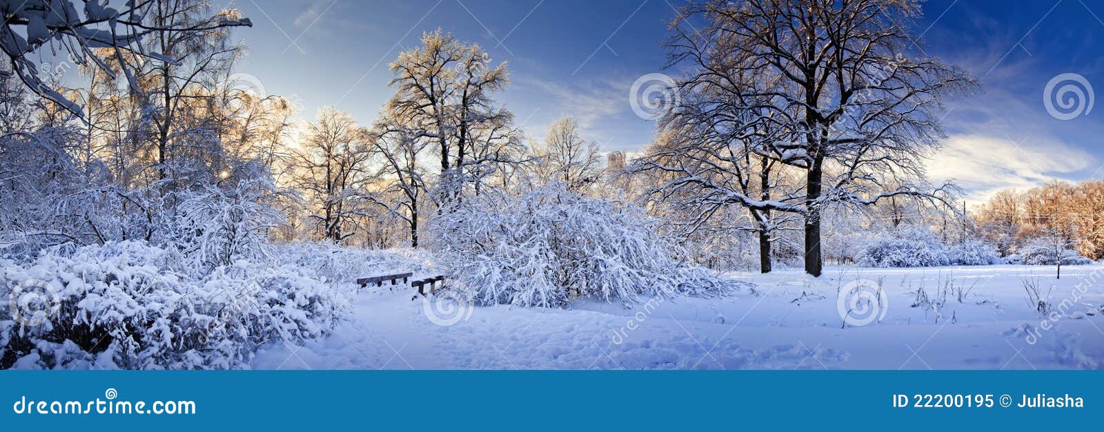 Winter Panorama Of A Park Royalty Free Stock Photo - Image: 22200195