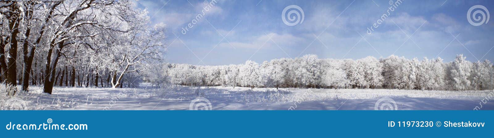 Winter panoramic view stock photo. Image of cool, horizontal - 11973230