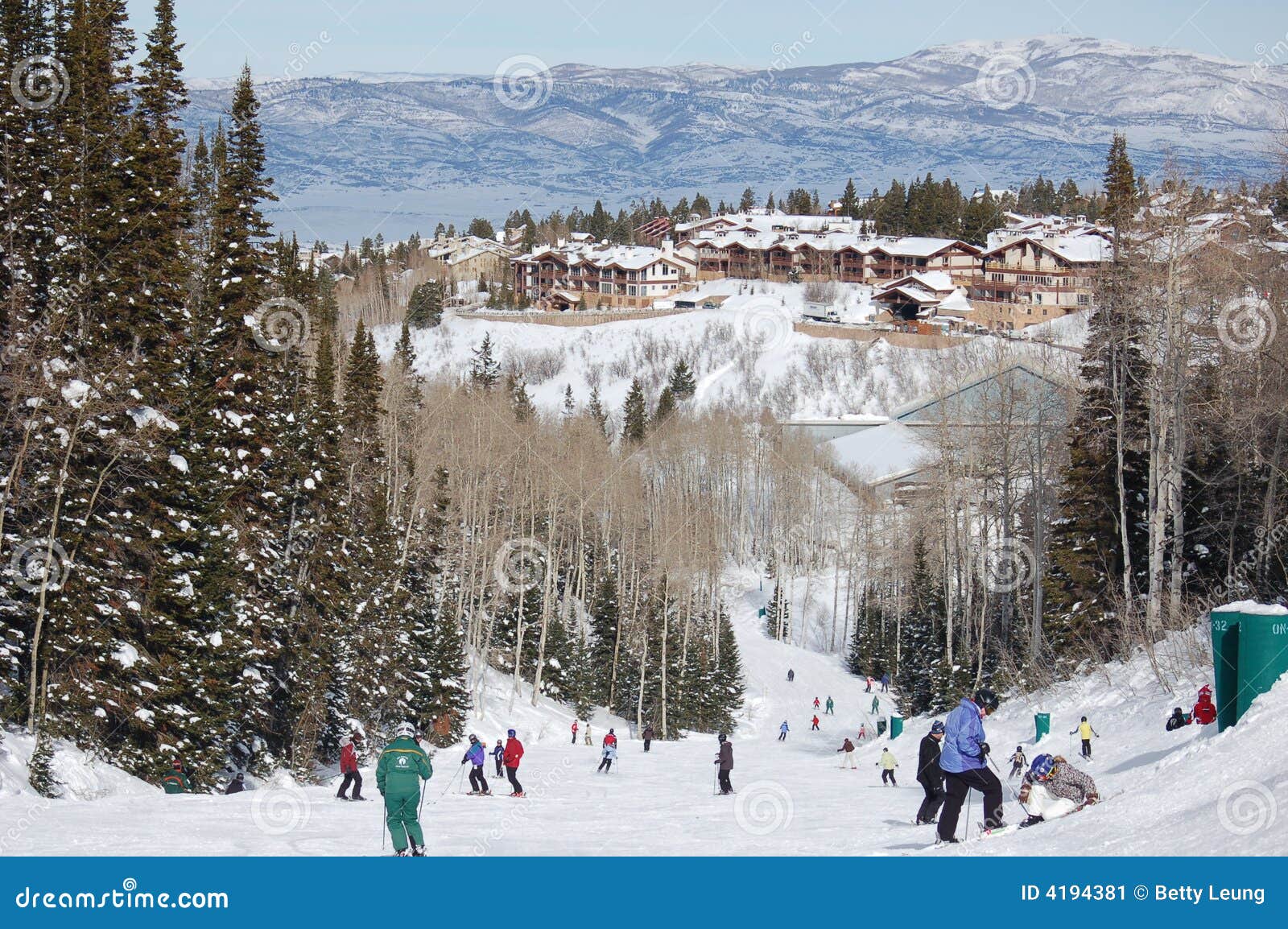 Winter Paradise stock image. Image of travel, healthy - 4194381