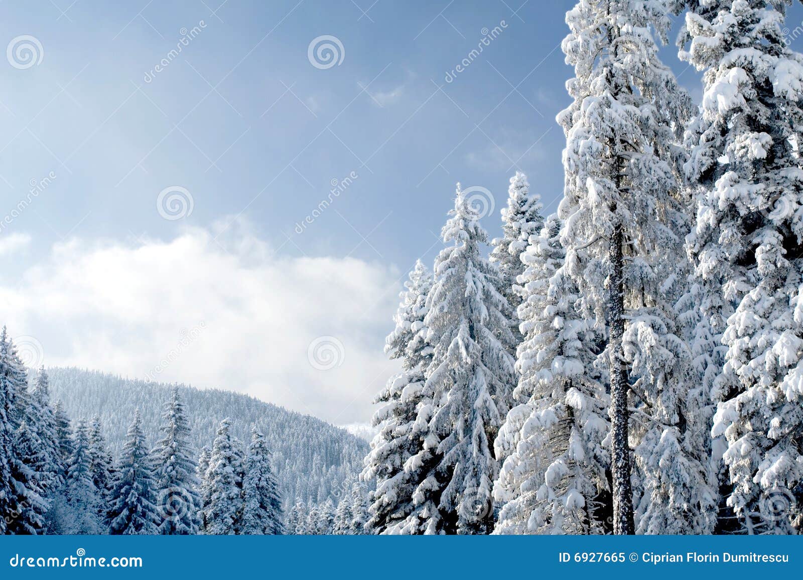 Winter paradise stock image. Image of natural, snow, landscape - 6927665