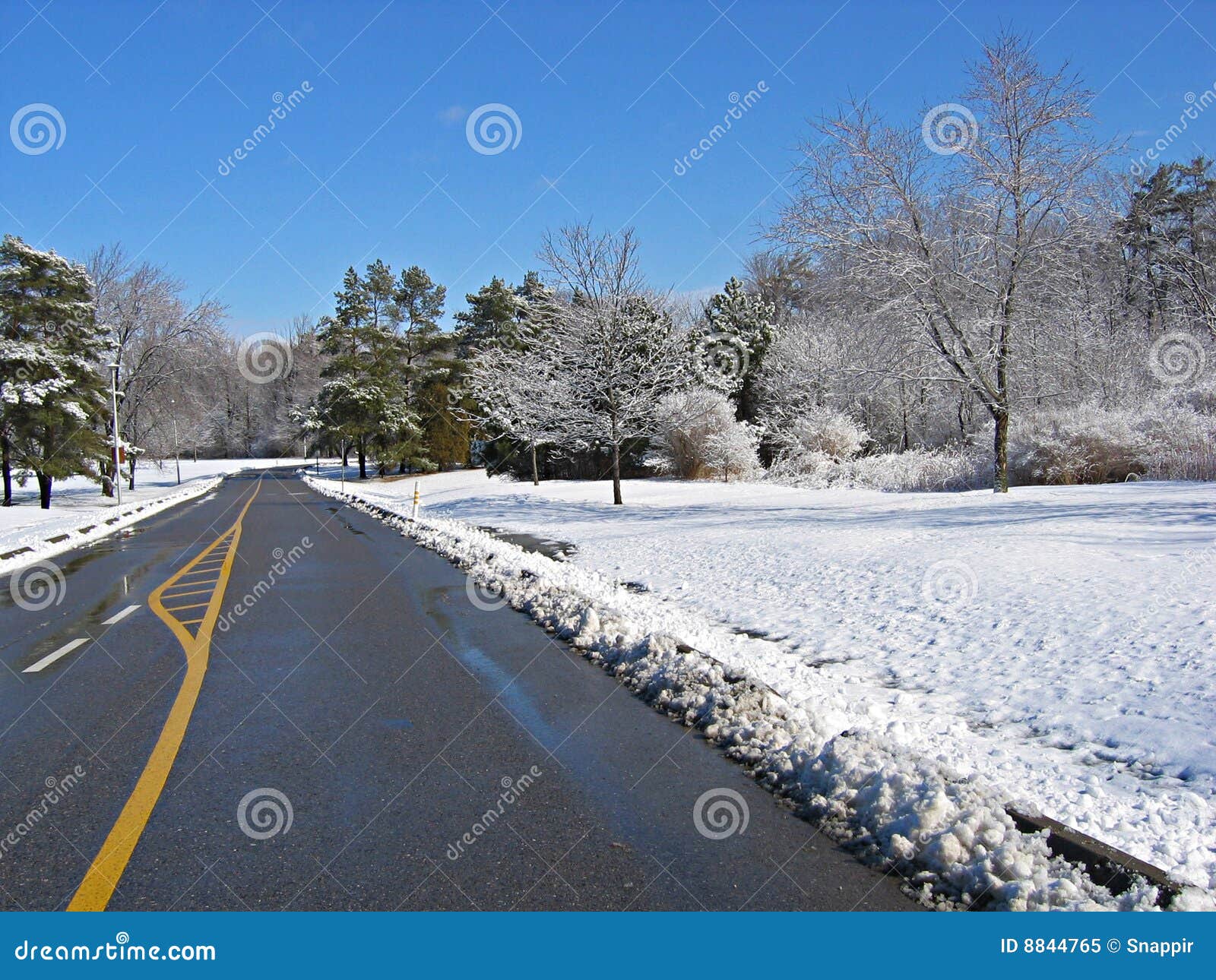 Winter park stock image. Image of park, winter, ground - 8844765