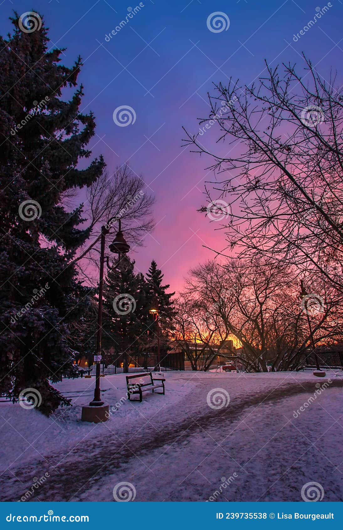 Winter Park Bench at Sunrise Stock Photo - Image of silhouette, sunrise ...