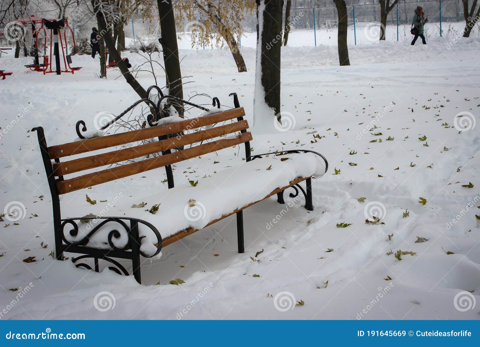 In the Winter Park, an Empty and Lonely Bench is Completely Covered ...