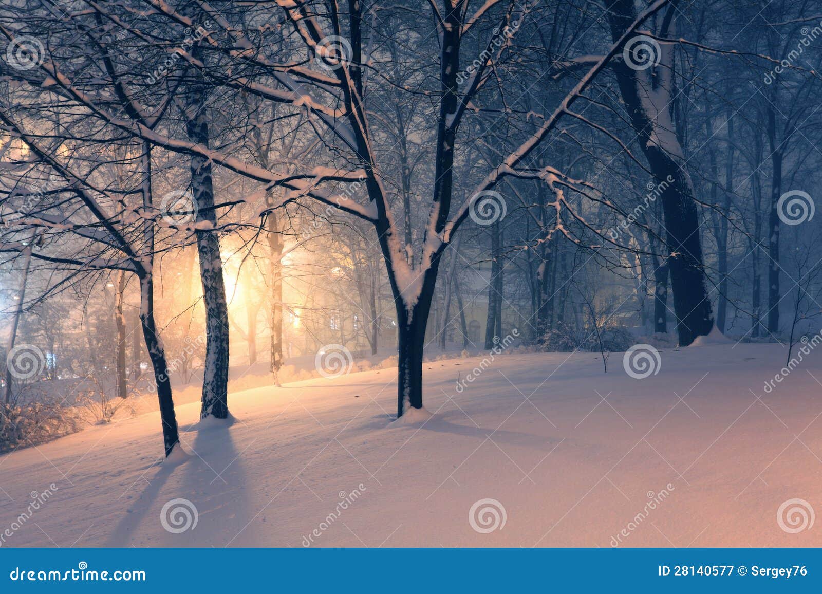 Winter Park and Light Behind the Trees Stock Image - Image of smooth ...