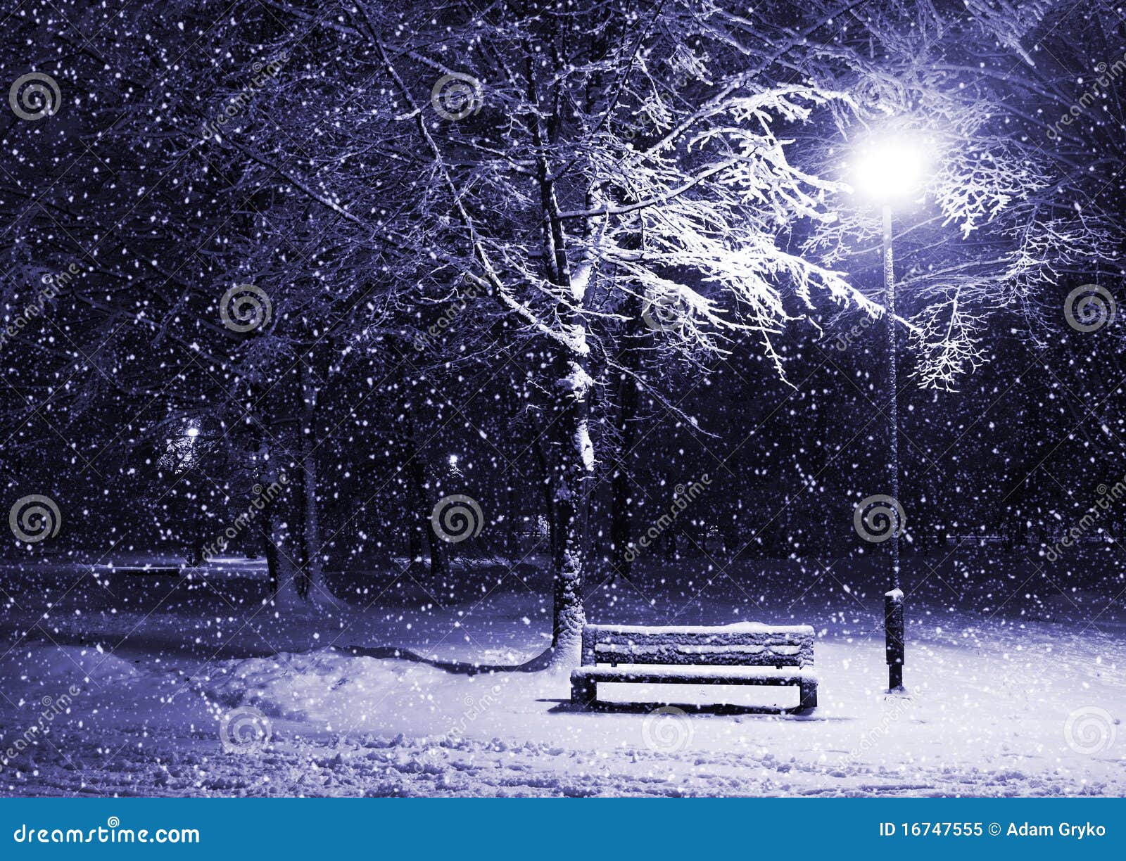 Winter park at night stock image. Image of beauty, beautiful - 16747555