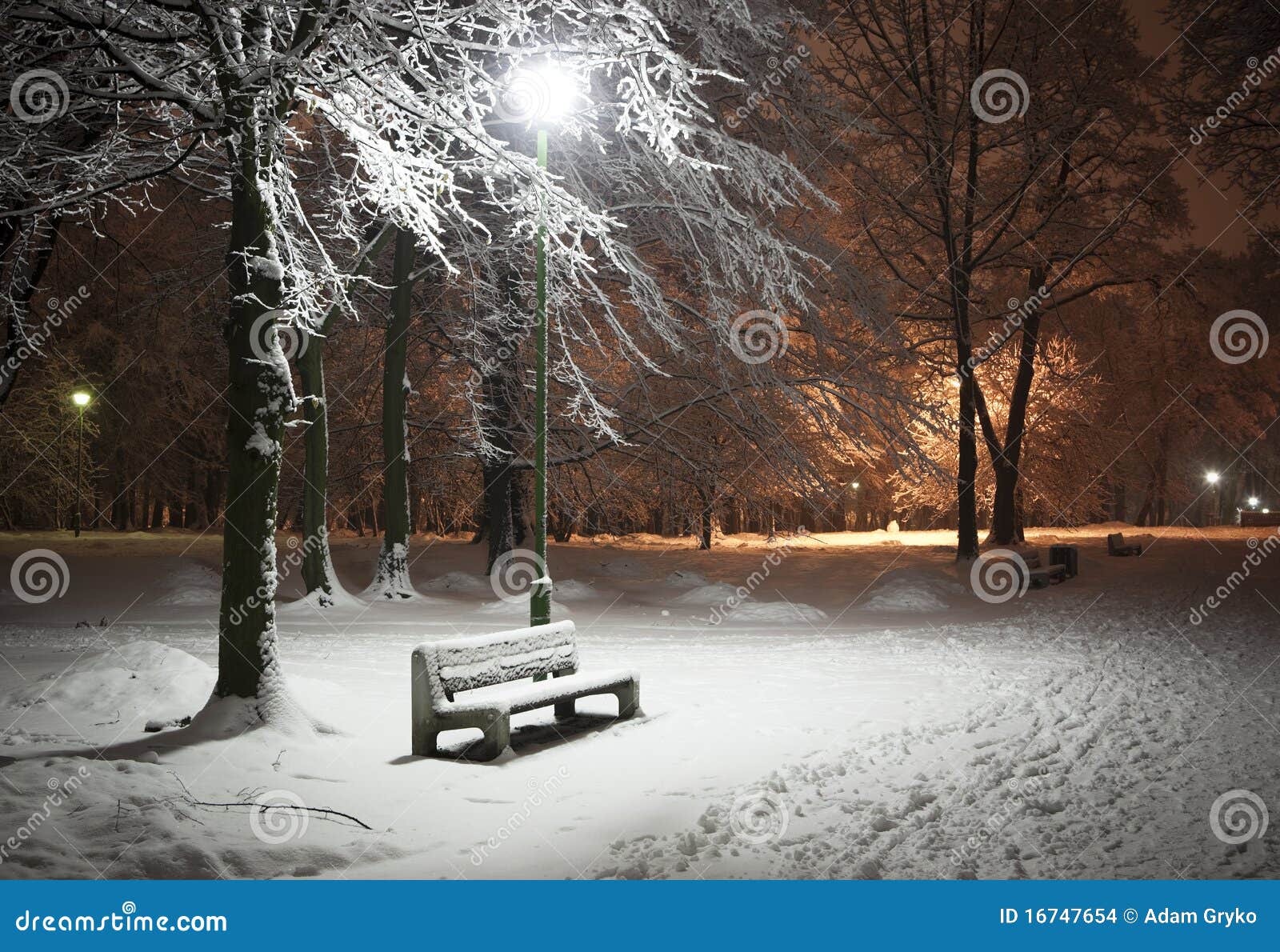 Winter park at night stock photo. Image of night, frosty - 16747654