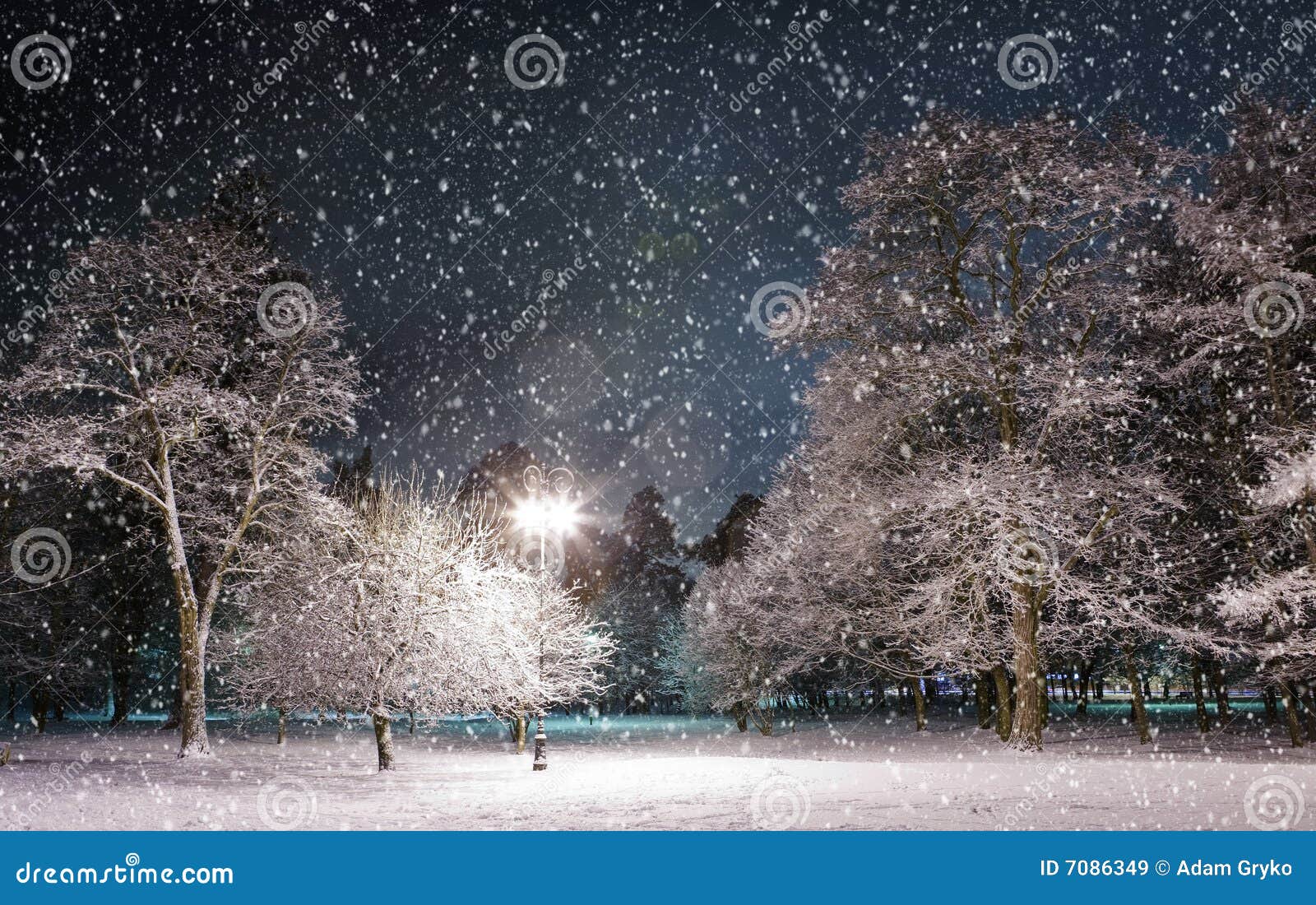 Winter park at night stock image. Image of scene, landscape - 7086349