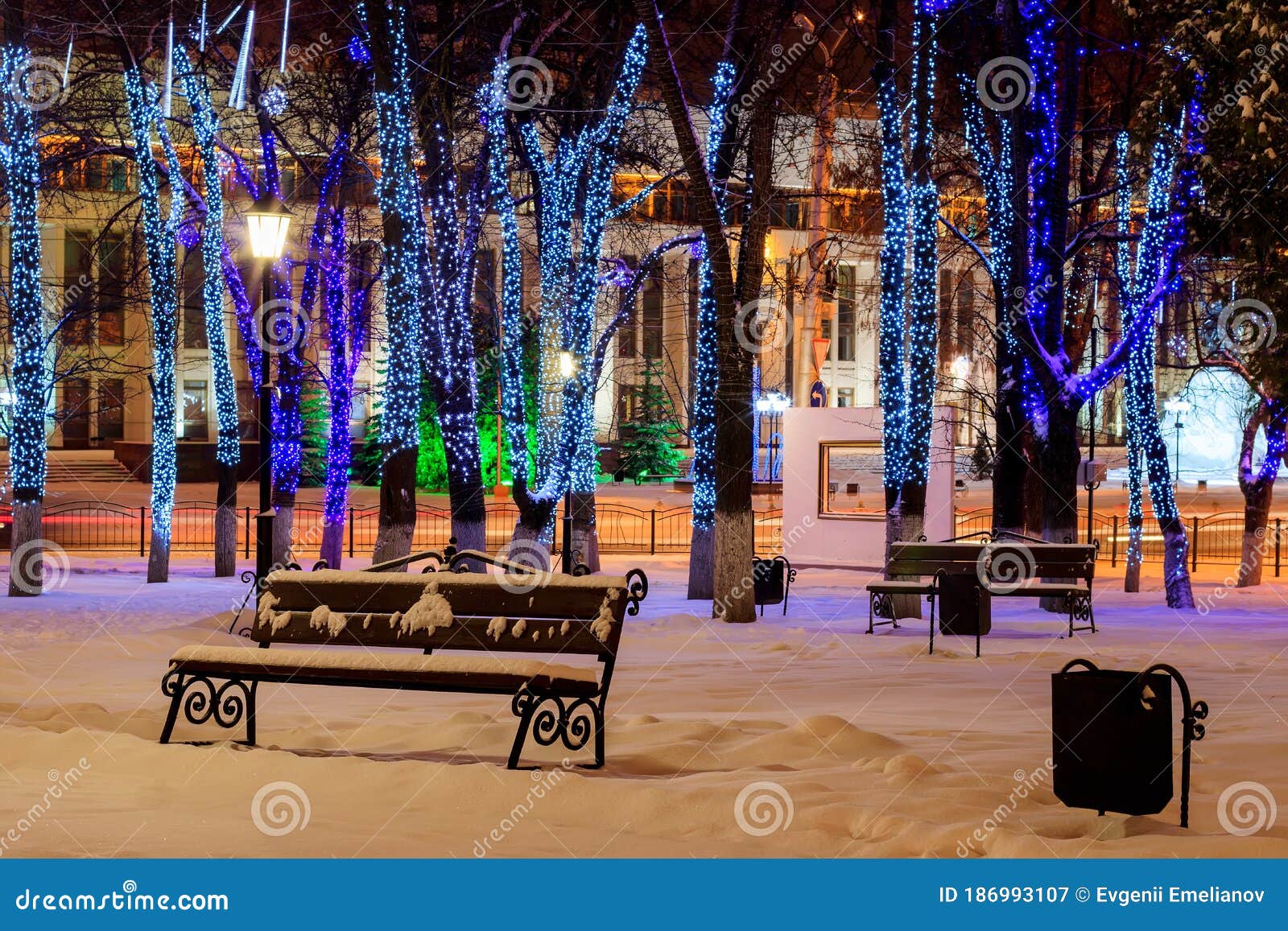 Winter park at night stock image. Image of park, frost - 186993107