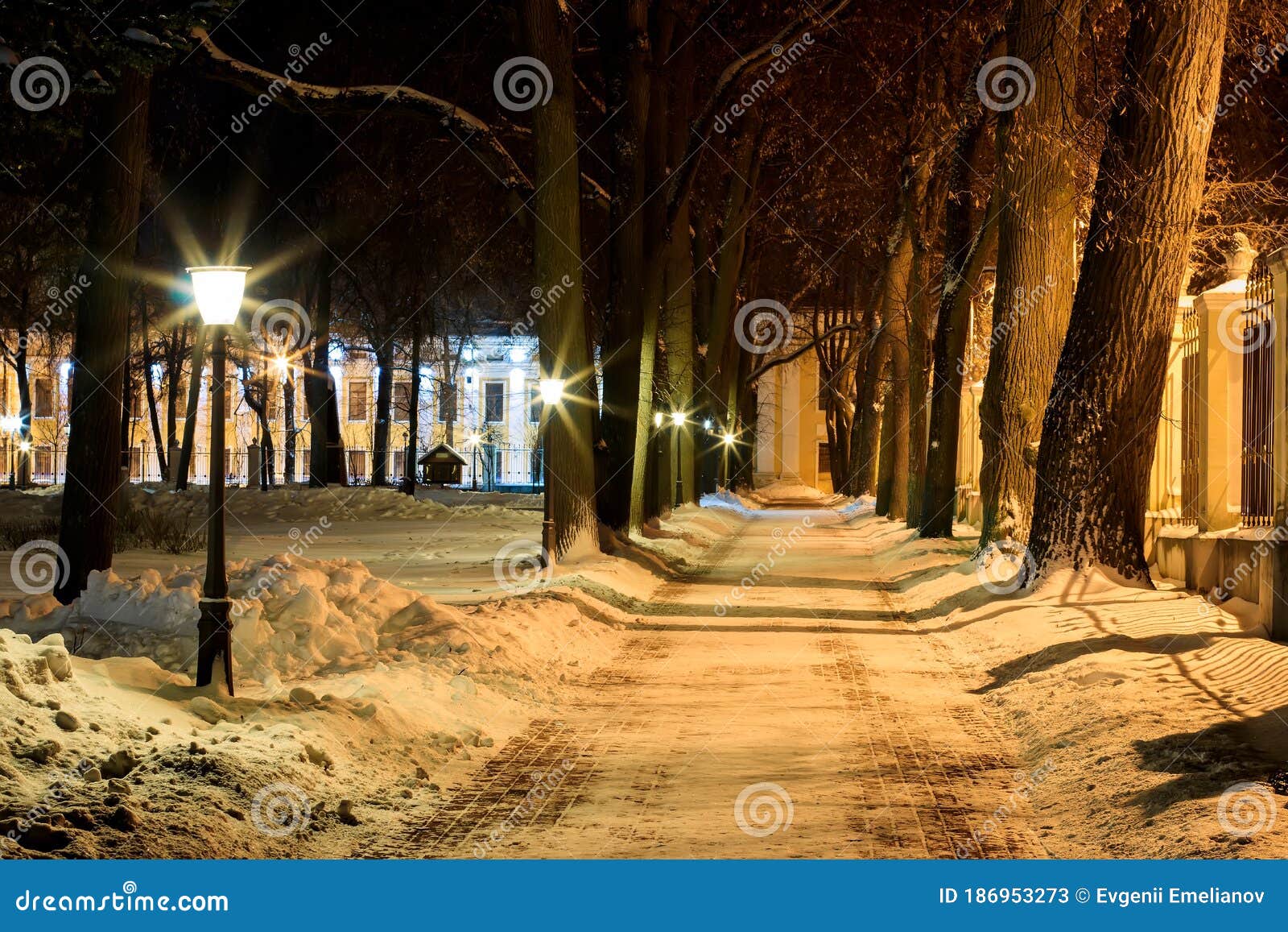 Winter park at night stock image. Image of bench, peaceful - 186953273