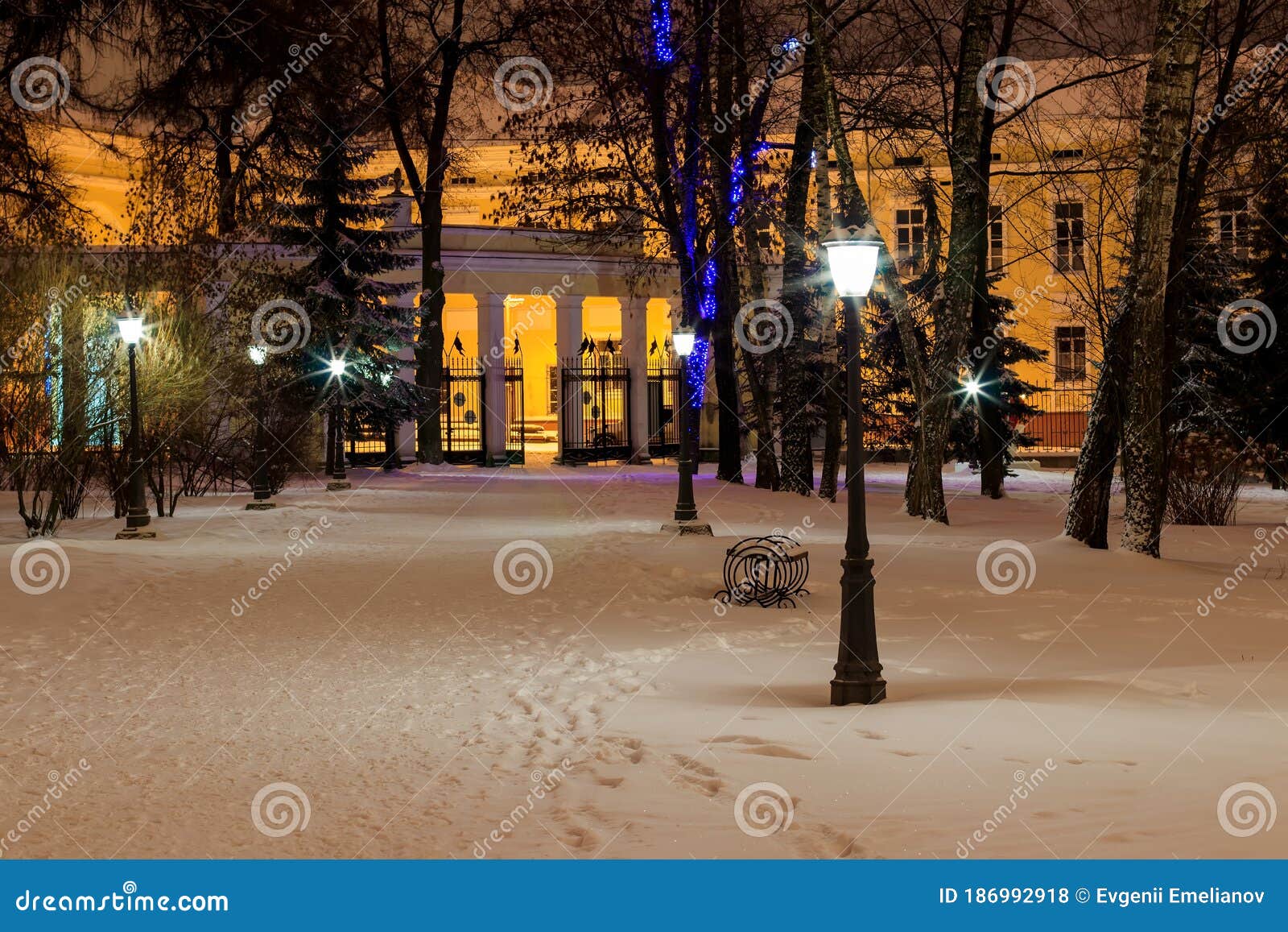 Winter park at night stock photo. Image of january, evening - 186992918