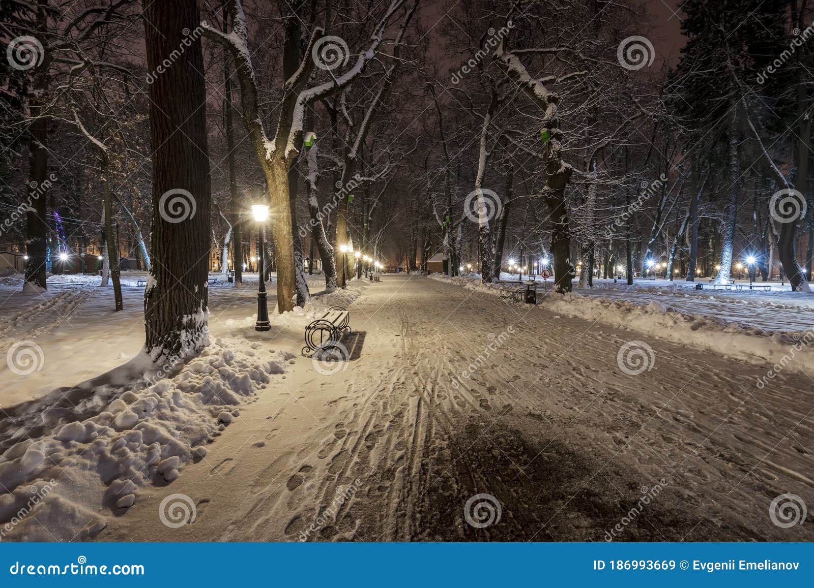 Winter park at night stock image. Image of scene, park - 186993669