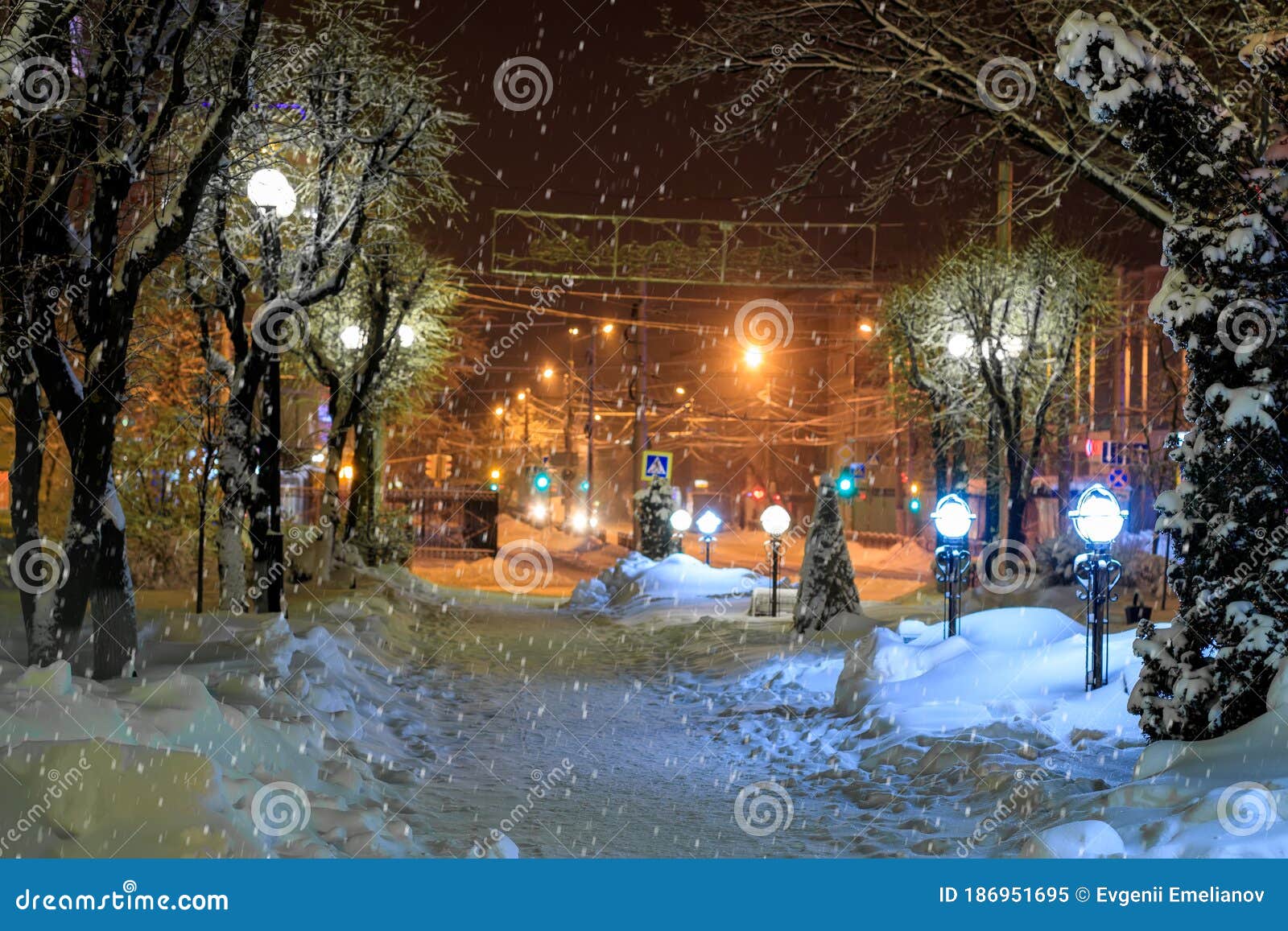 Winter park at night stock image. Image of light, night - 186951695