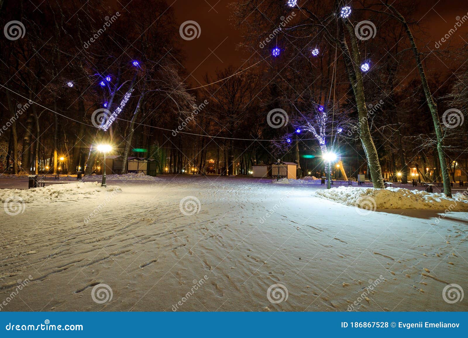 Winter park at night stock photo. Image of decorative - 186867528