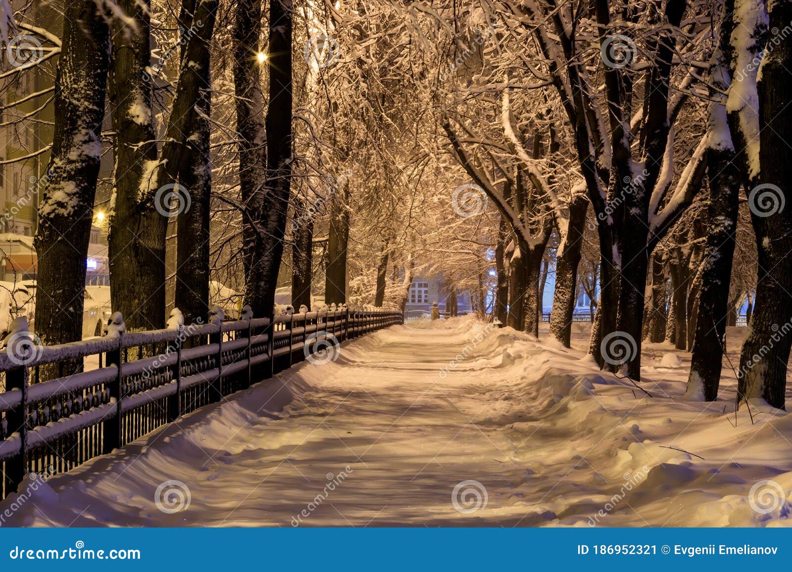 Winter park at night stock image. Image of sityscape - 186952321