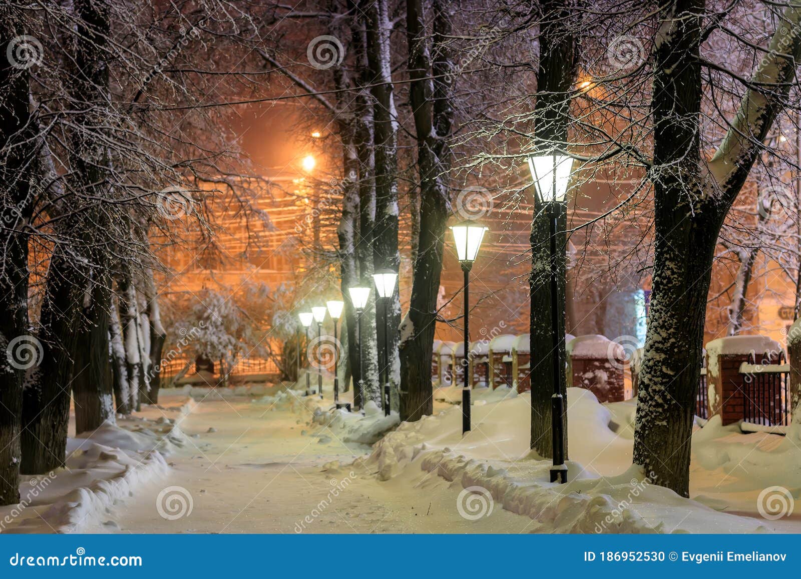 Winter park at night stock photo. Image of sityscape - 186952530