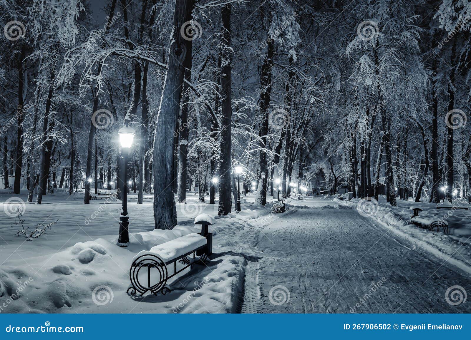 Winter Park at Night with Lights, Benches, Pavement Covered with Snow ...