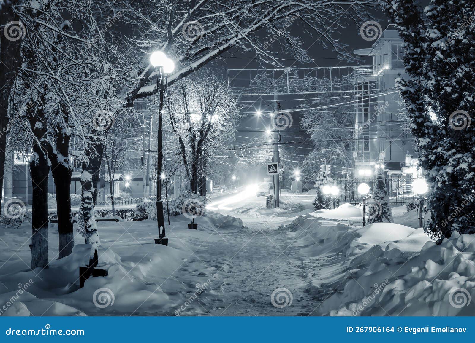 Winter Park at Night with Lights, Pavement Covered with Snow and Trees ...