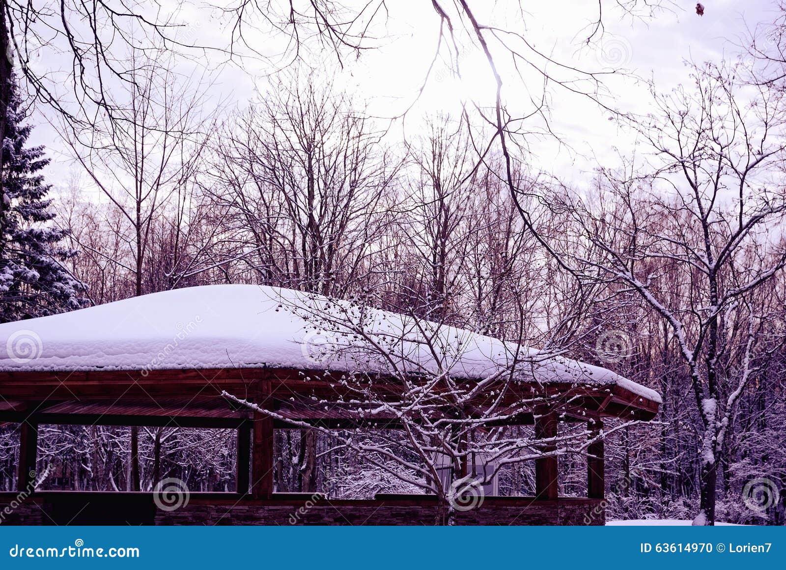 Winter Park with a Pavilion Stock Photo - Image of snowy, violet: 63614970