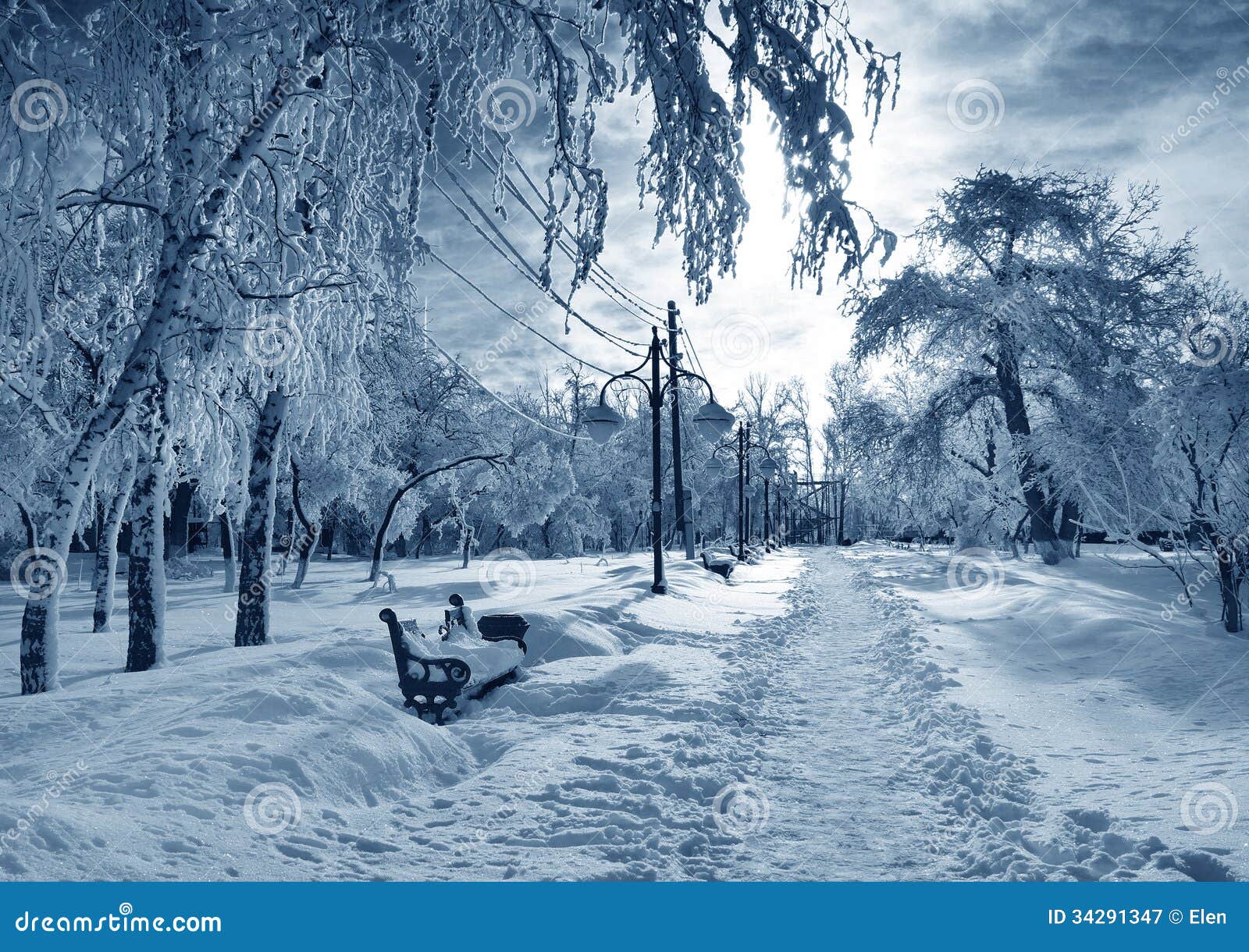 Winter park, scenery stock image. Image of skies, cold - 34291347