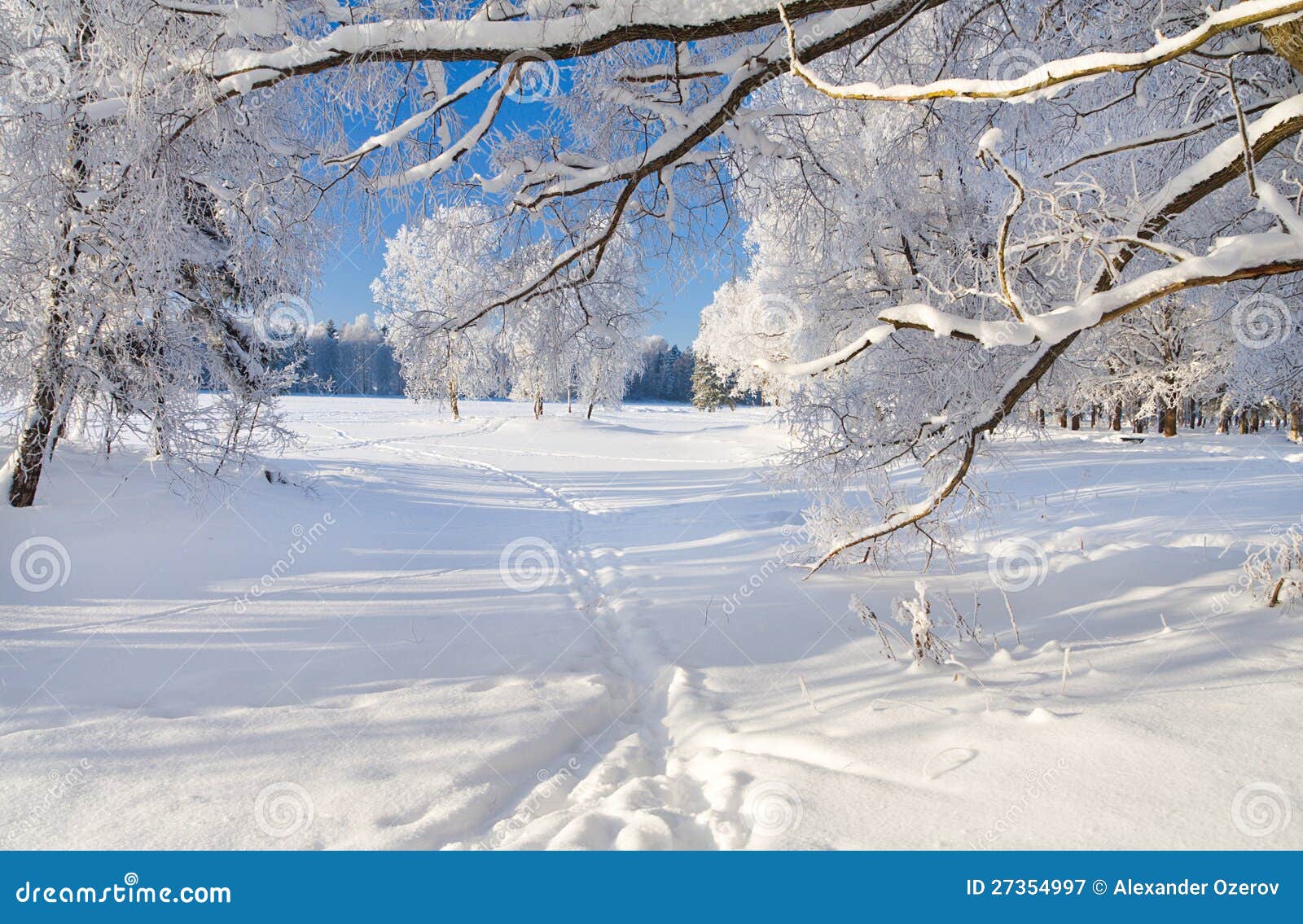Winter park in snow stock image. Image of covering, snowstorm - 27354997
