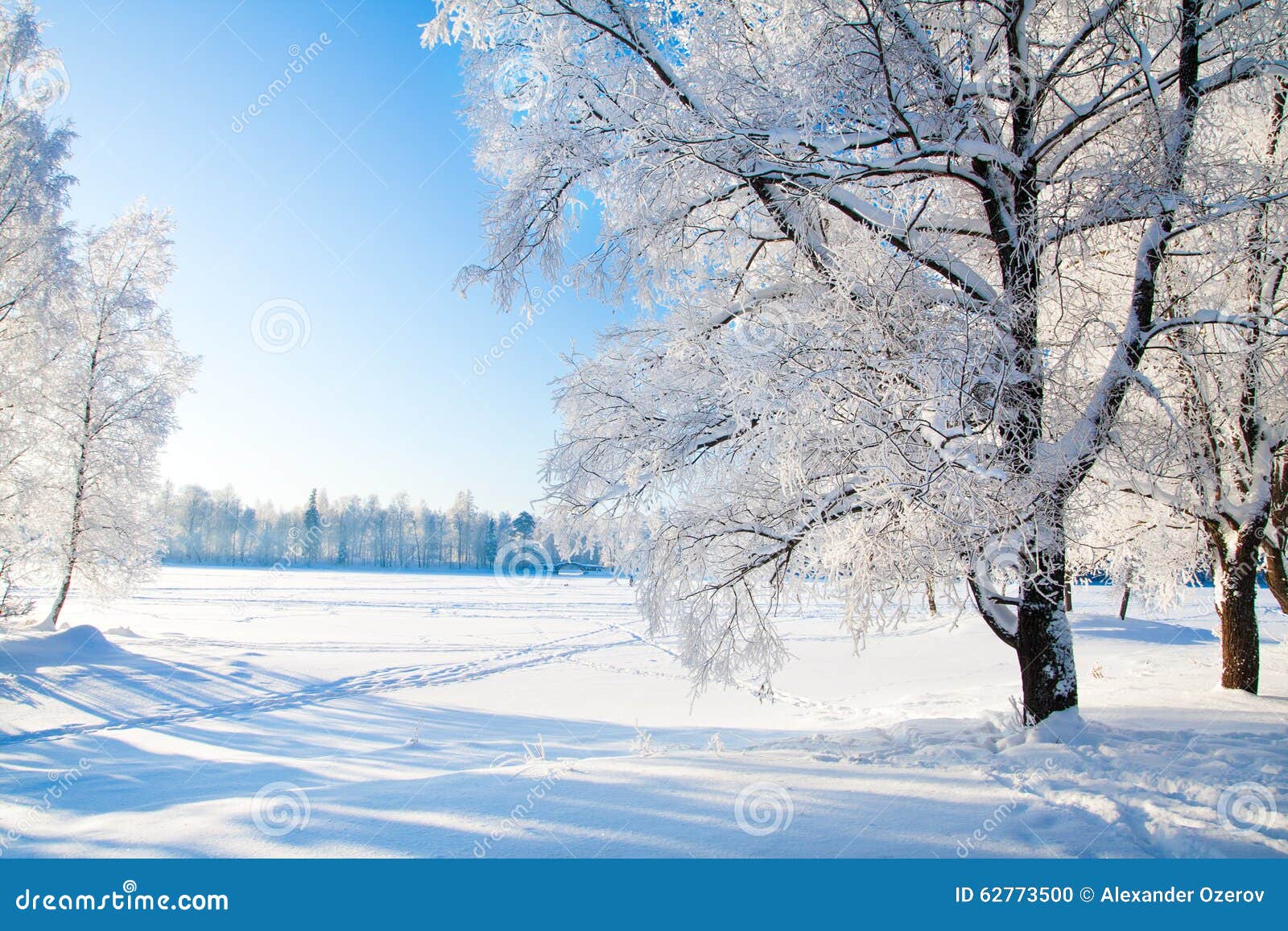 Winter park in snow stock photo. Image of season, road - 62773500