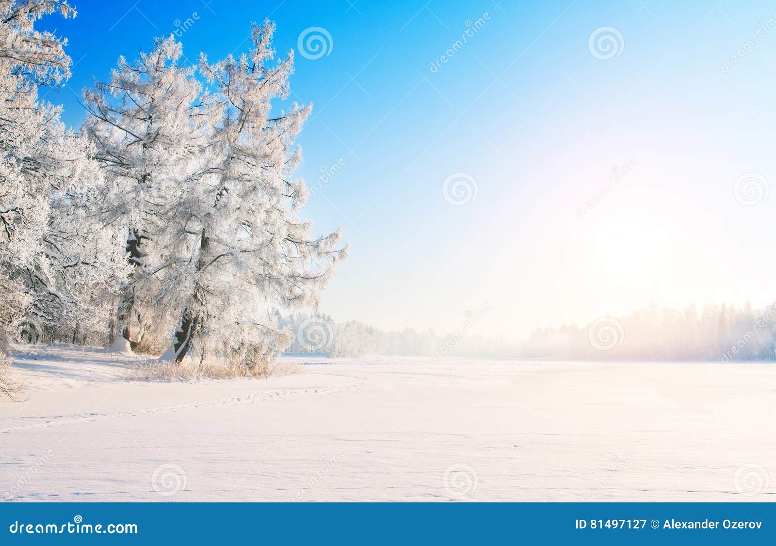 Winter park in snow stock image. Image of parkway, park - 81497127