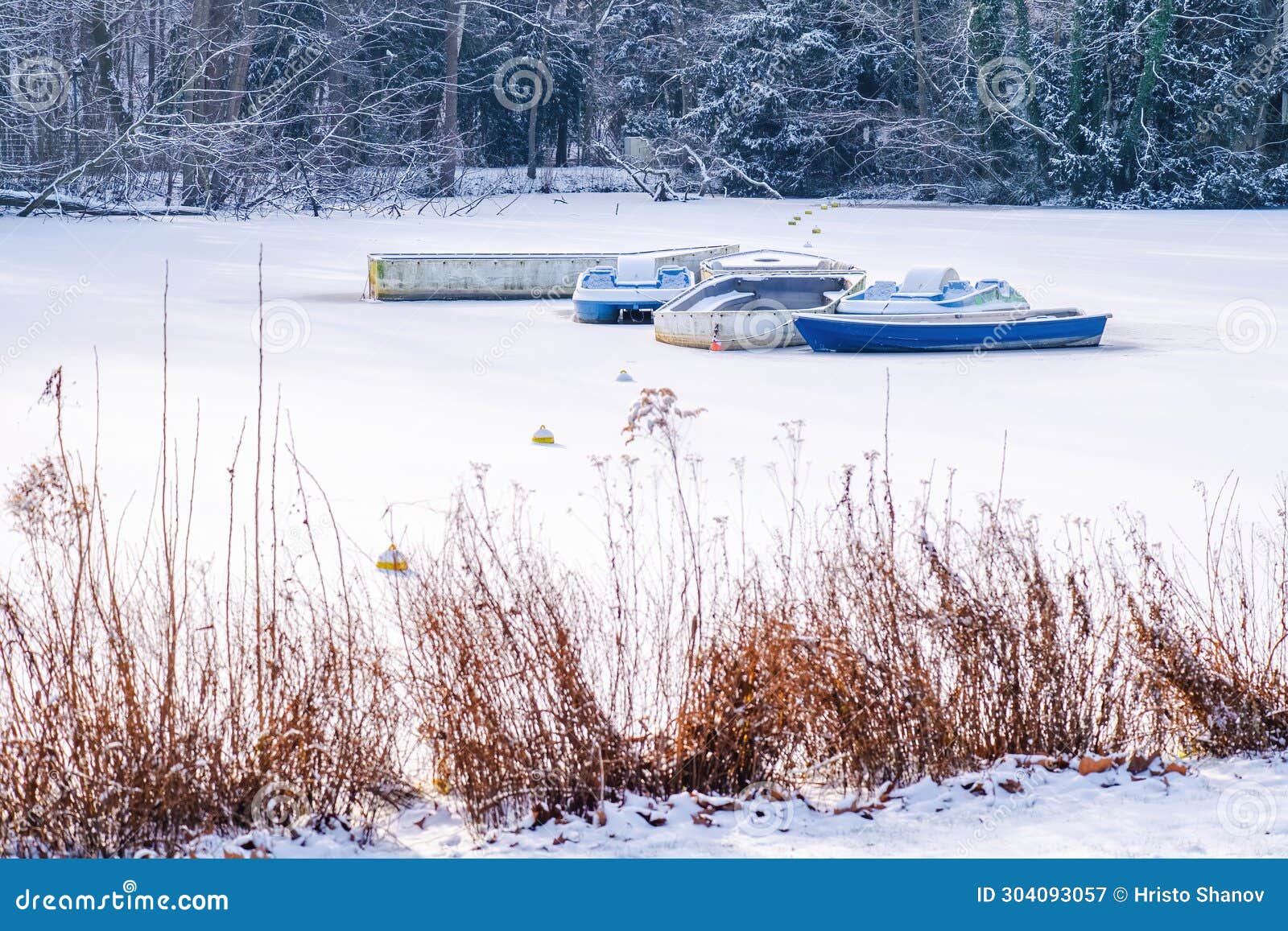 Winter in Park, Snow Fairy Tail Stock Image - Image of winter ...