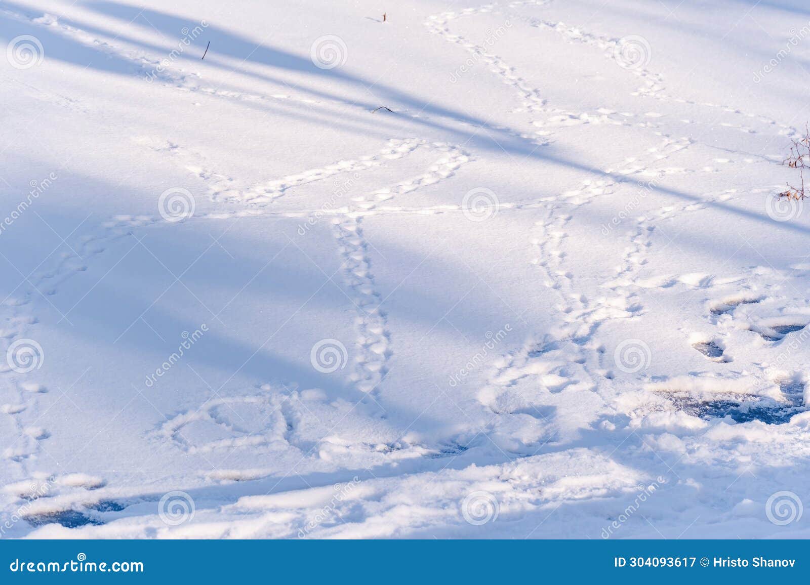 Winter in Park, Snow Fairy Tail Stock Image - Image of stadium ...