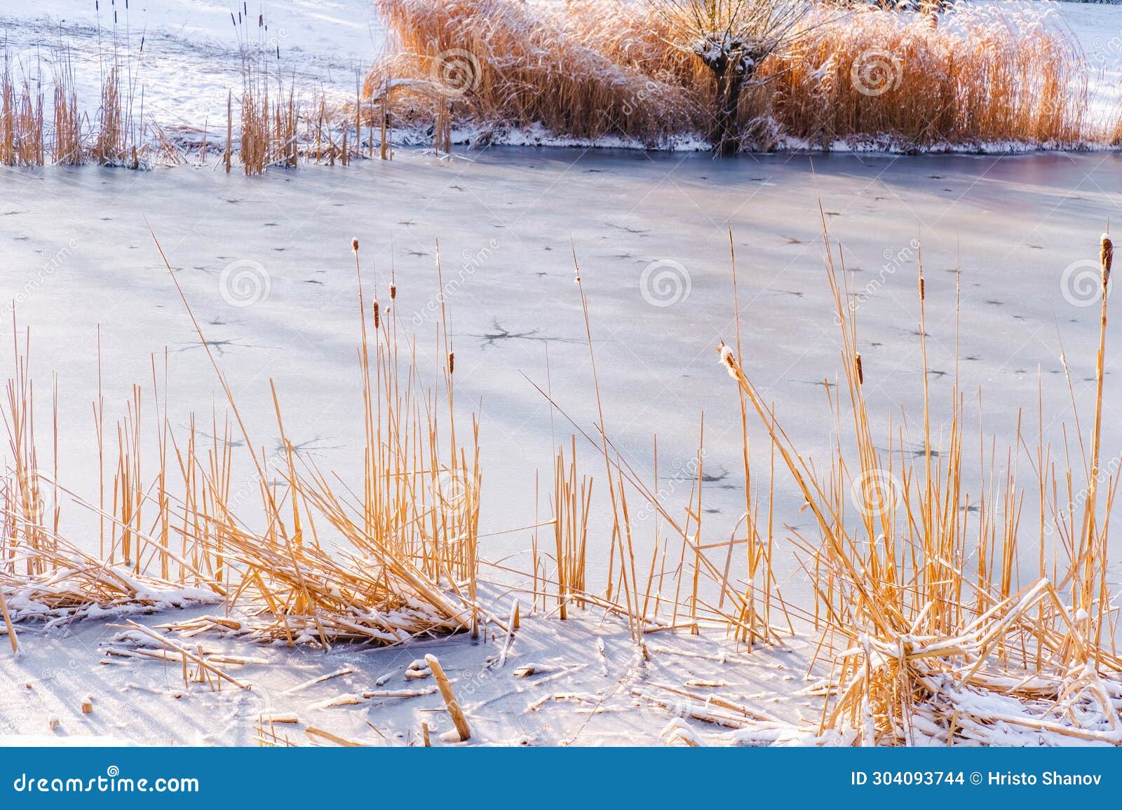Winter in Park, Snow Fairy Tail Stock Photo - Image of snowy, seat ...