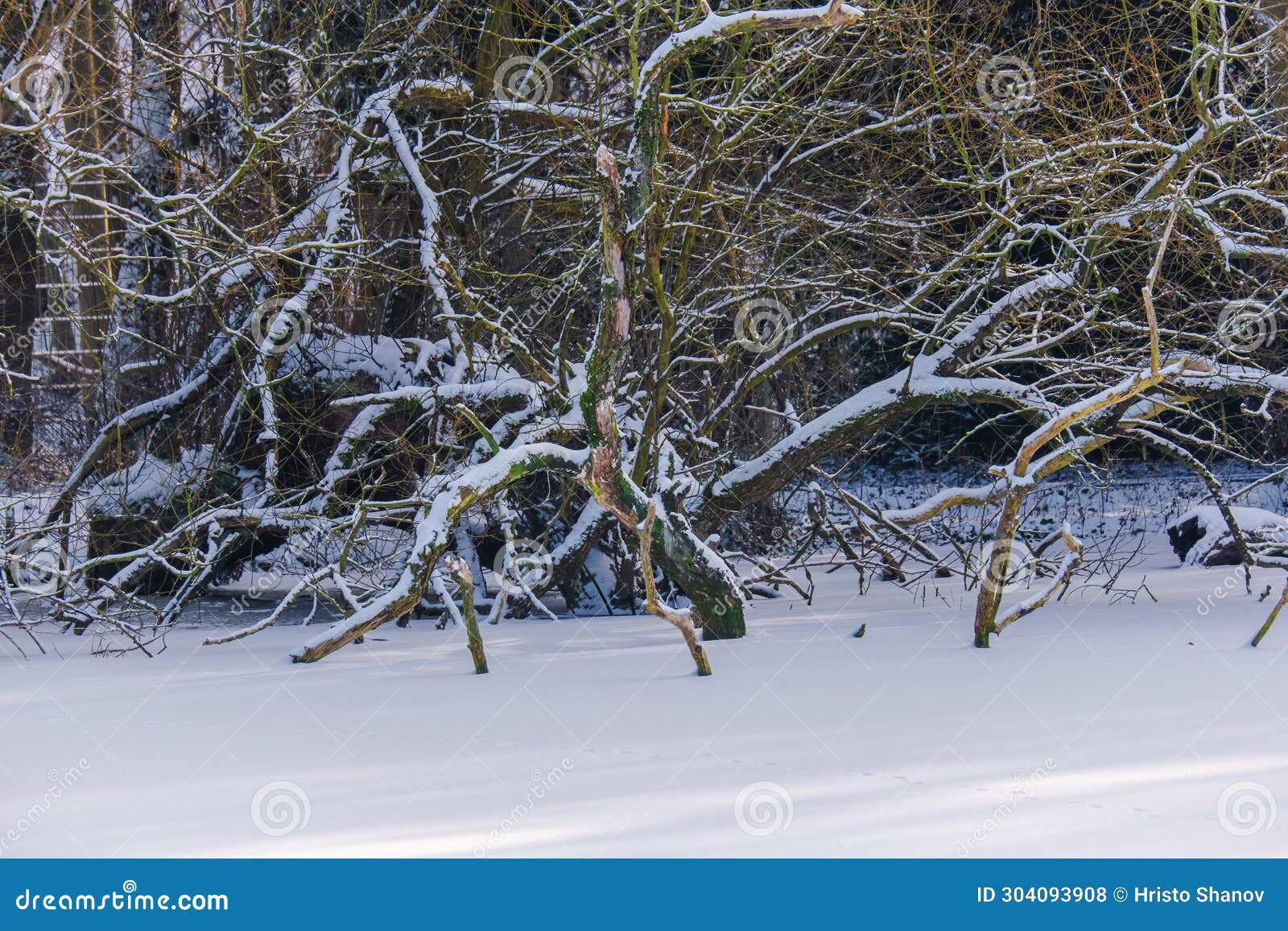Winter in Park, Snow Fairy Tail Stock Photo - Image of construction ...