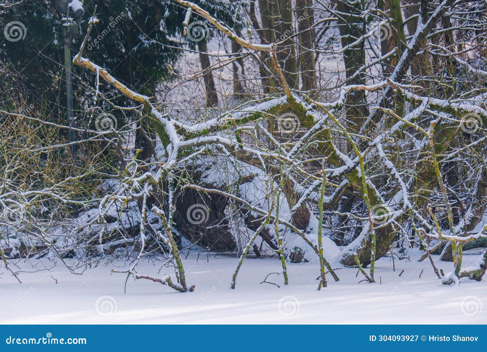 Winter in Park, Snow Fairy Tail Stock Image - Image of white, pattern ...