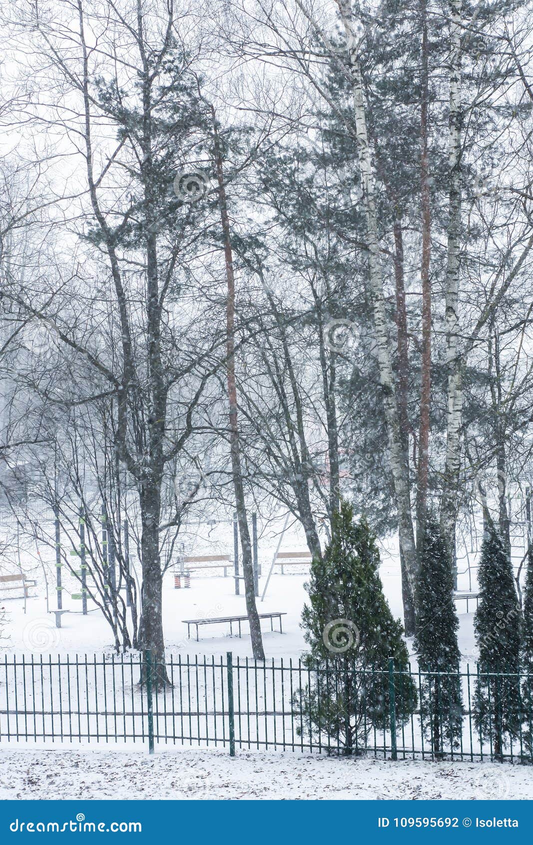 Winter Park in Snowfall. Vertical Shot. Stock Photo - Image of sparkel ...