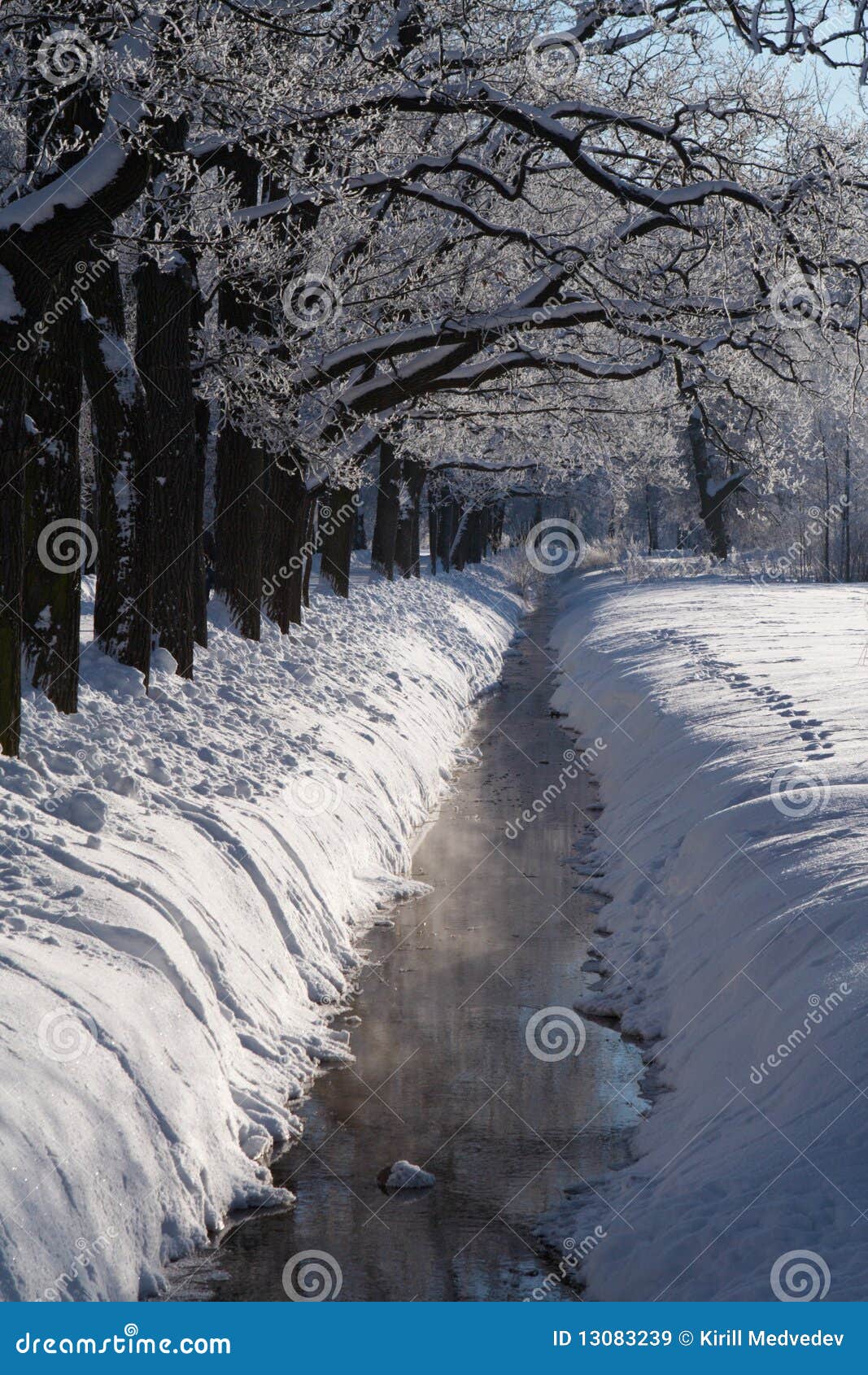 Winter park stream in snow stock image. Image of tree - 13083239