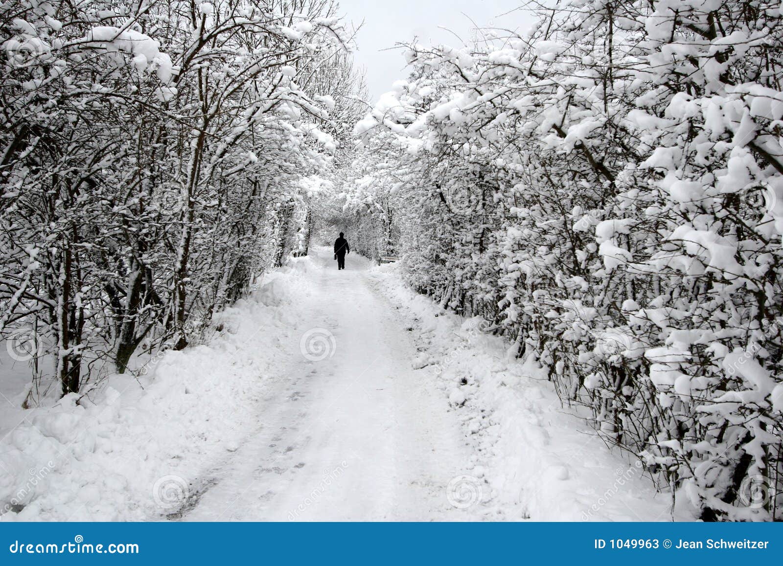 Winter path stock image. Image of danish, form, snow, winter - 1049963