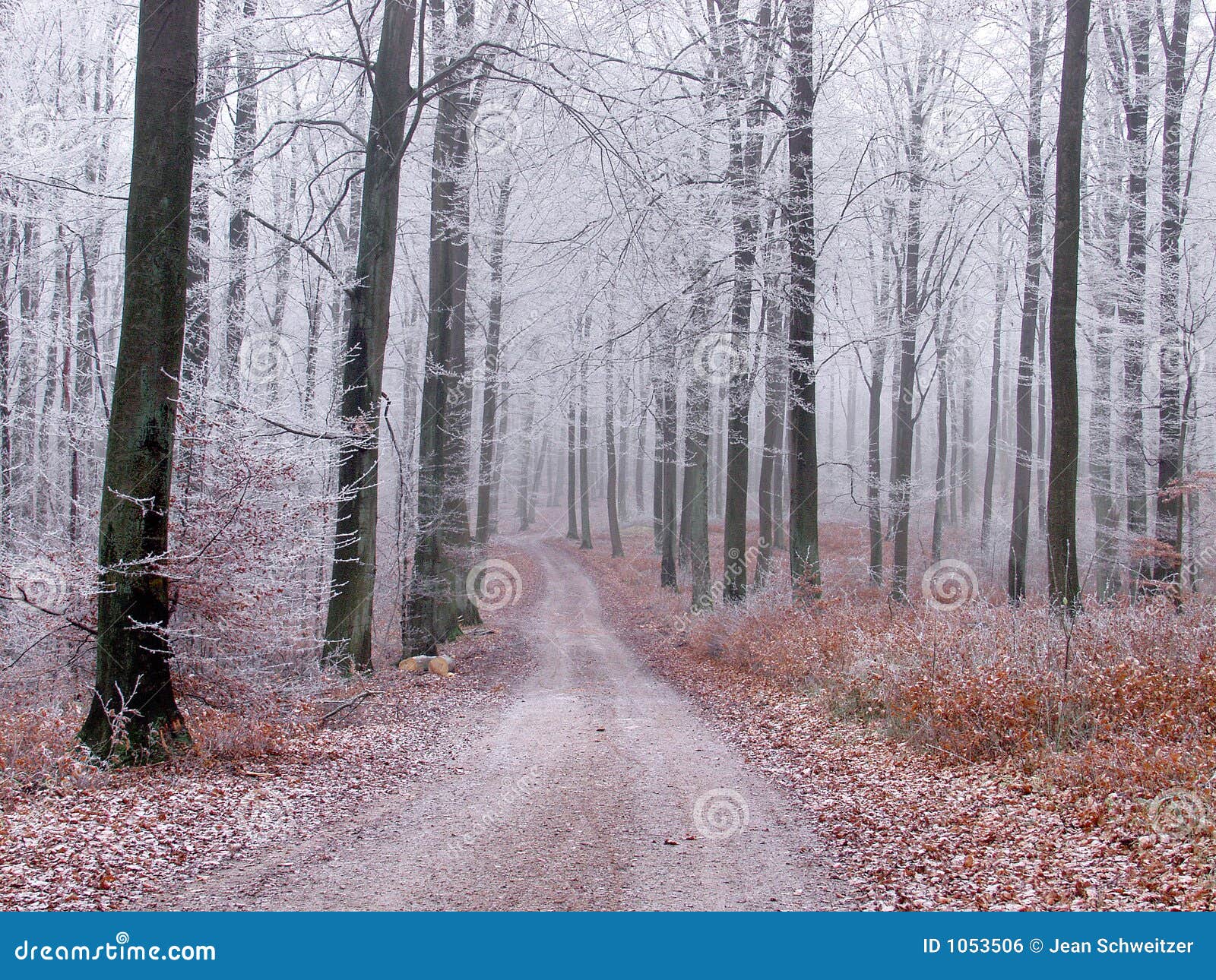 Winter path stock photo. Image of path, winter, line, christmas - 1053506
