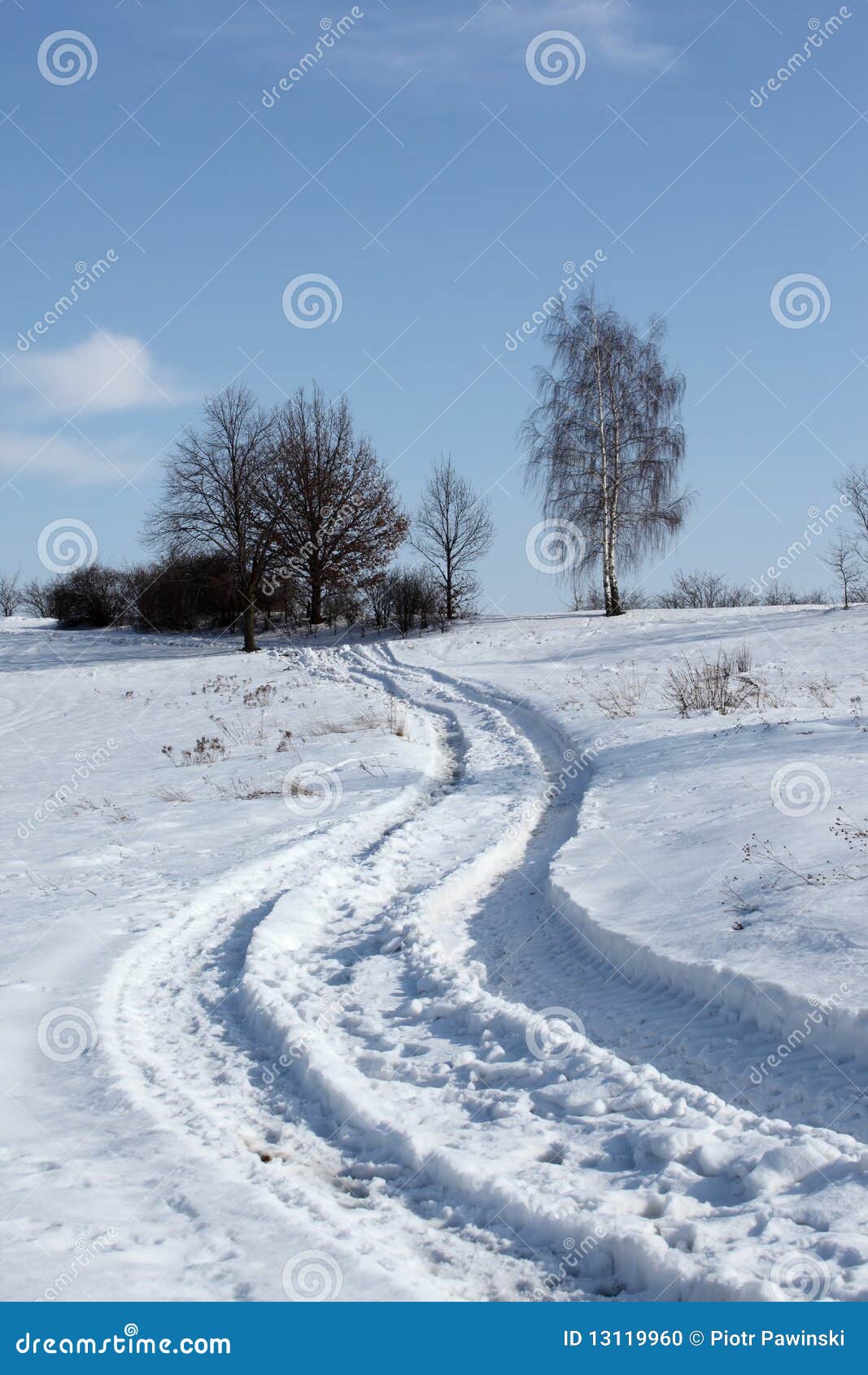 Winter path stock photo. Image of drift, blue, mist, roadside - 13119960