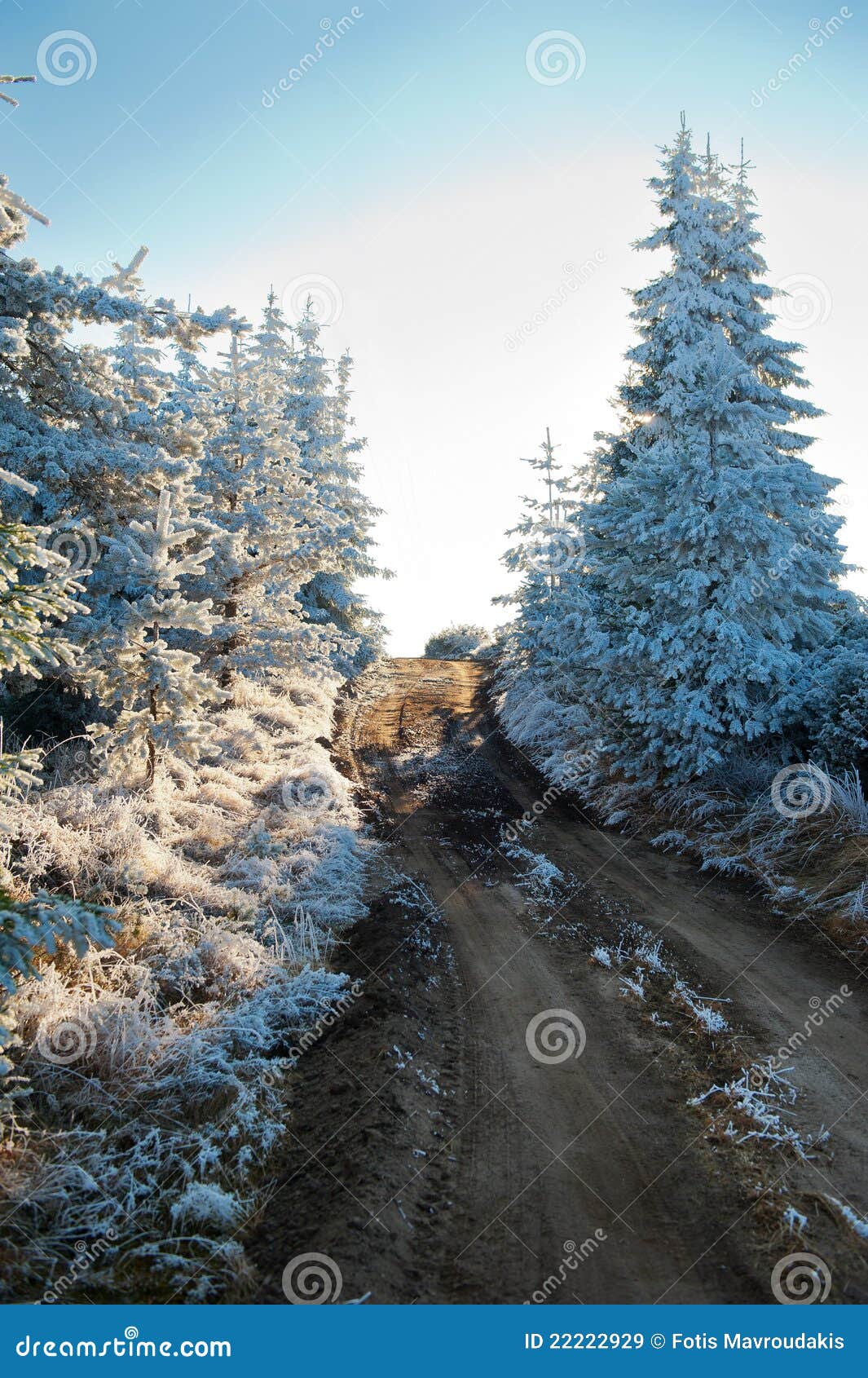 Winter path stock image. Image of country, trace, nature - 22222929