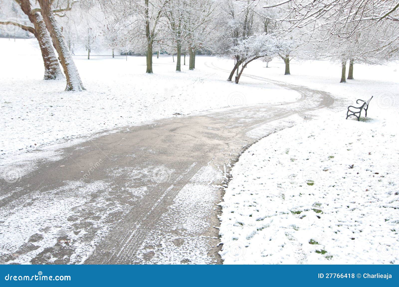 Winter path stock photo. Image of christmas, seasonal - 27766418