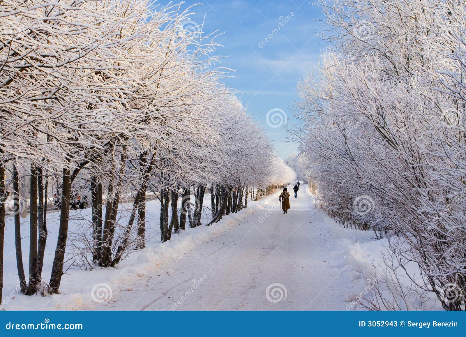 Winter path stock image. Image of footpath, blizzard, freshness - 3052943