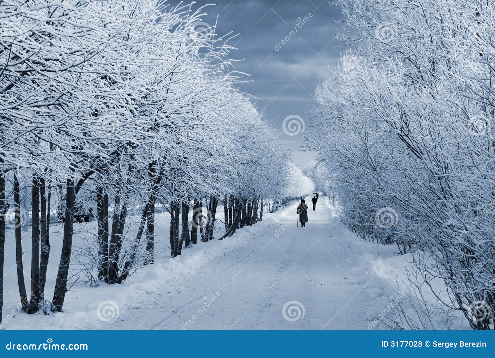Winter path stock photo. Image of january, city, footpath - 3177028