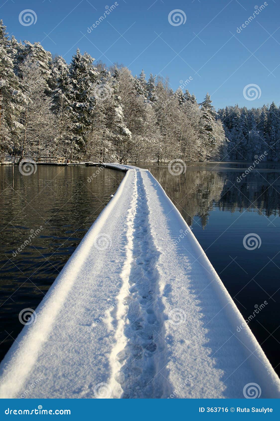 Winter path stock photo. Image of path, nature, water, clear - 363716