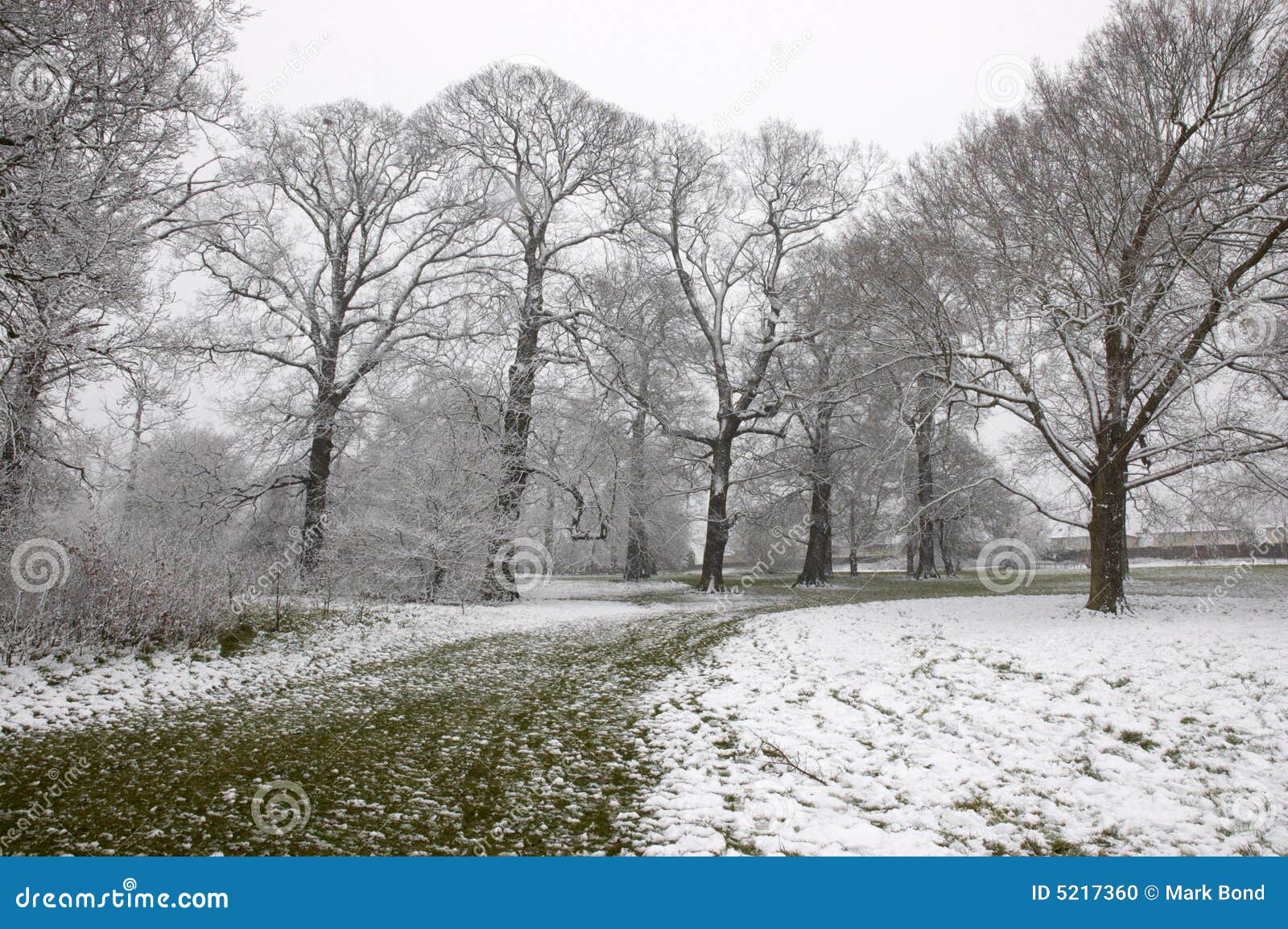Winter path stock photo. Image of footpath, single, cold - 5217360