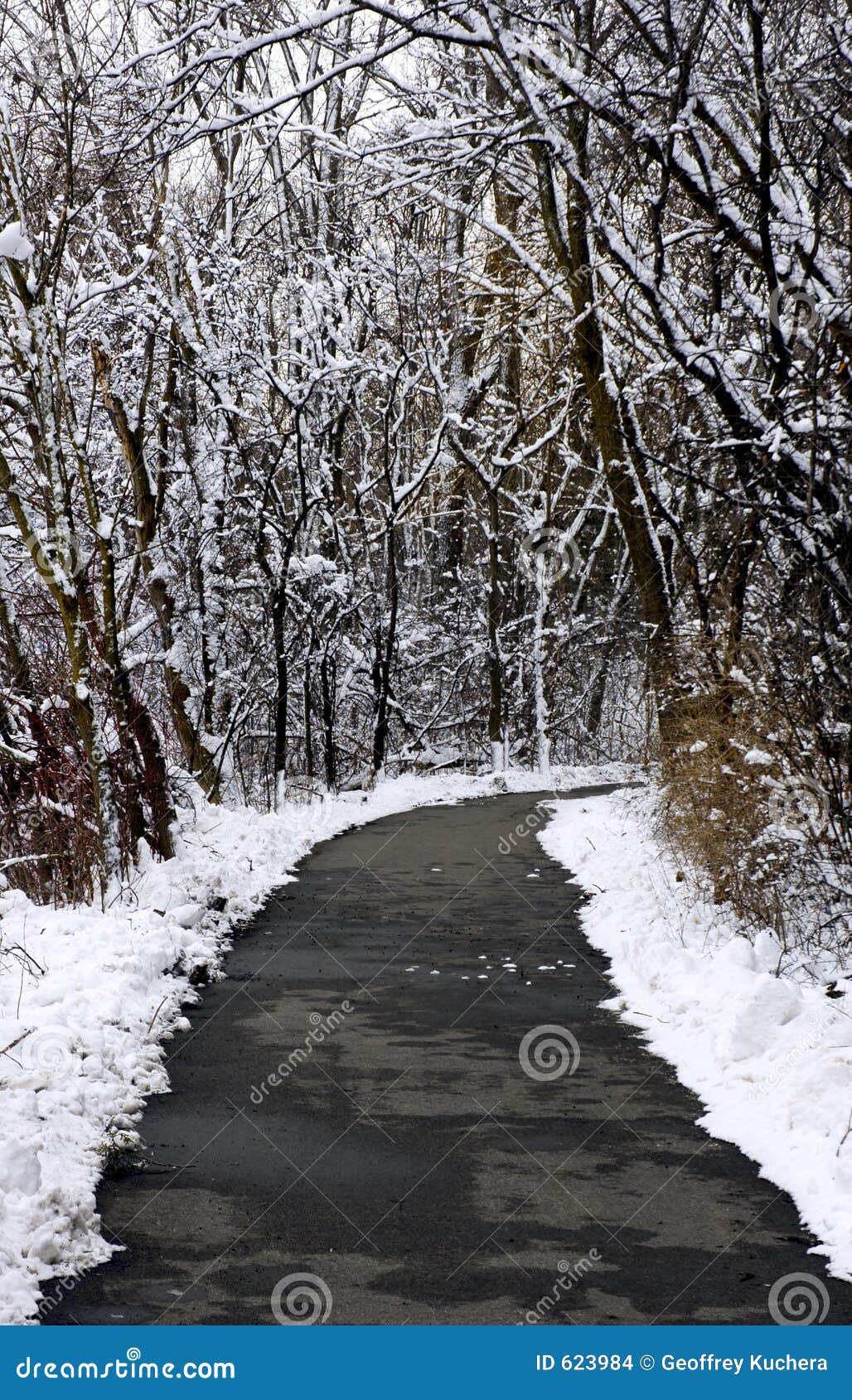 Winter Path stock photo. Image of chilly, path, recreation - 623984