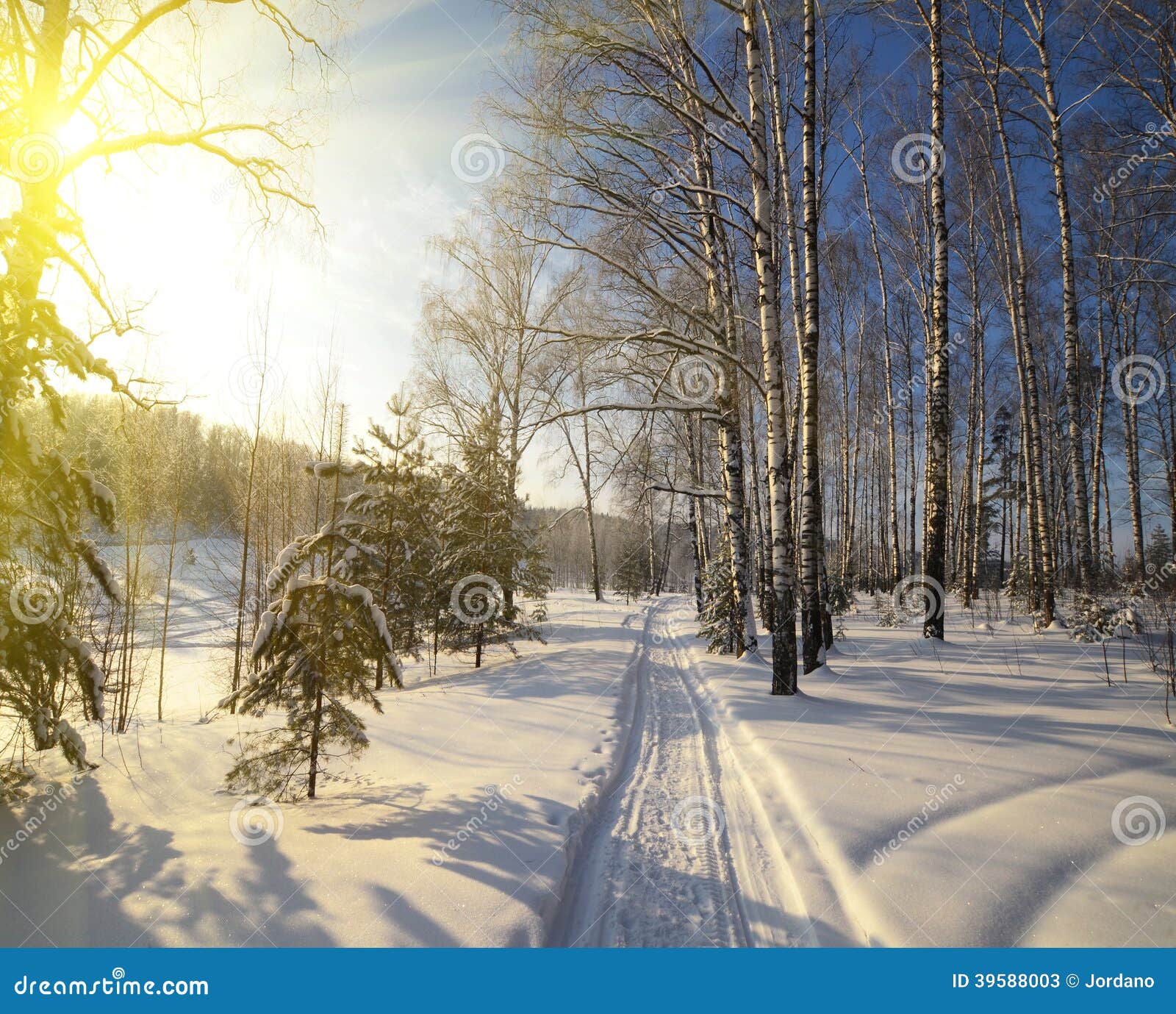 Winter Path in the forest stock image. Image of road - 39588003