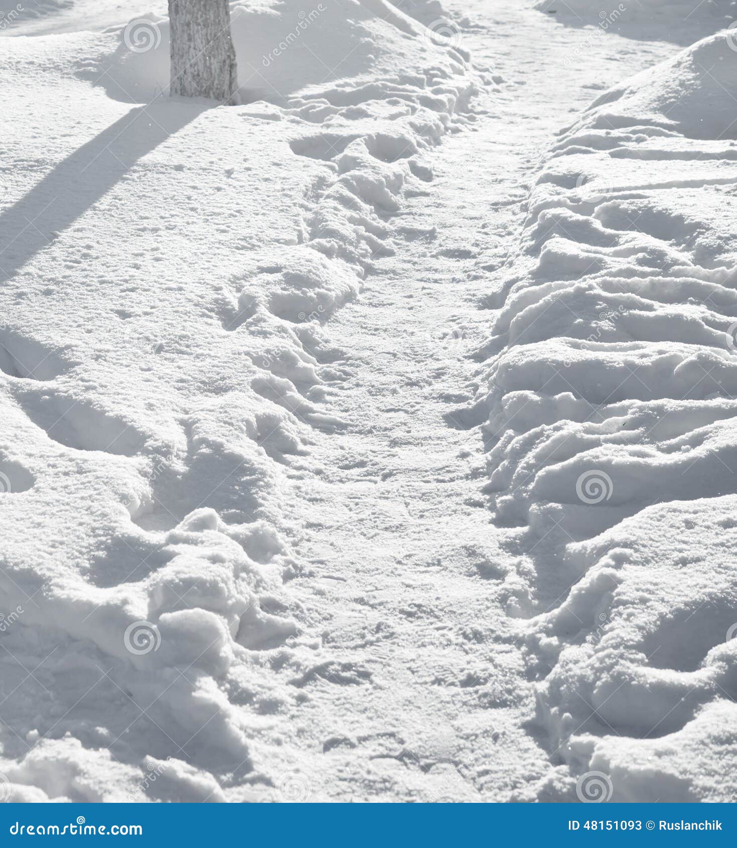 Winter path stock image. Image of season, pathway, nature - 48151093