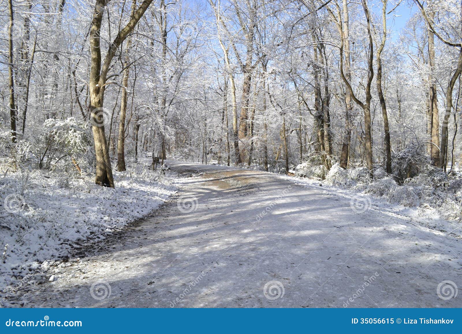 Winter path stock image. Image of landscape, season, ecosystem - 35056615