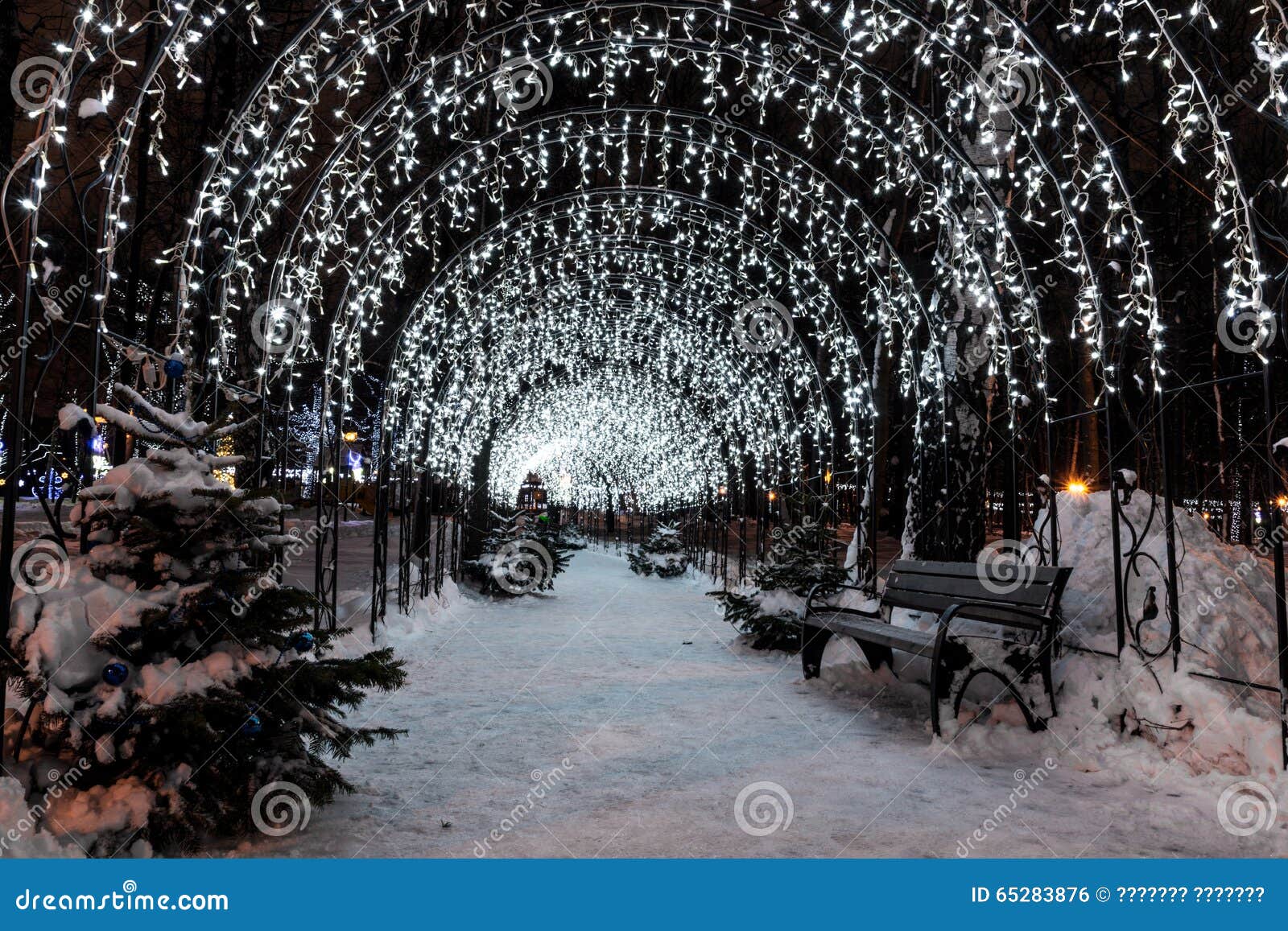 Winter Path in a Light Bulb Stock Photo - Image of winter, black: 65283876