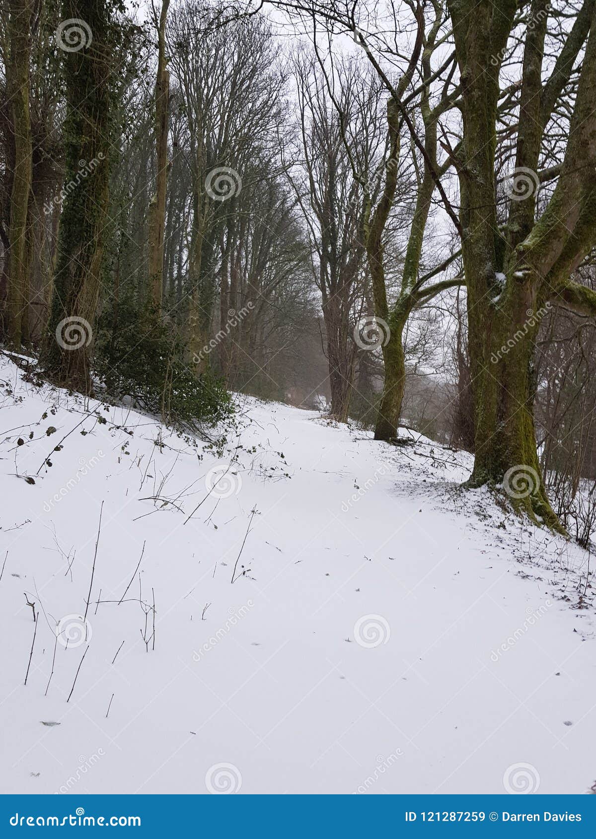 Winter Path stock image. Image of covered, mountain - 121287259
